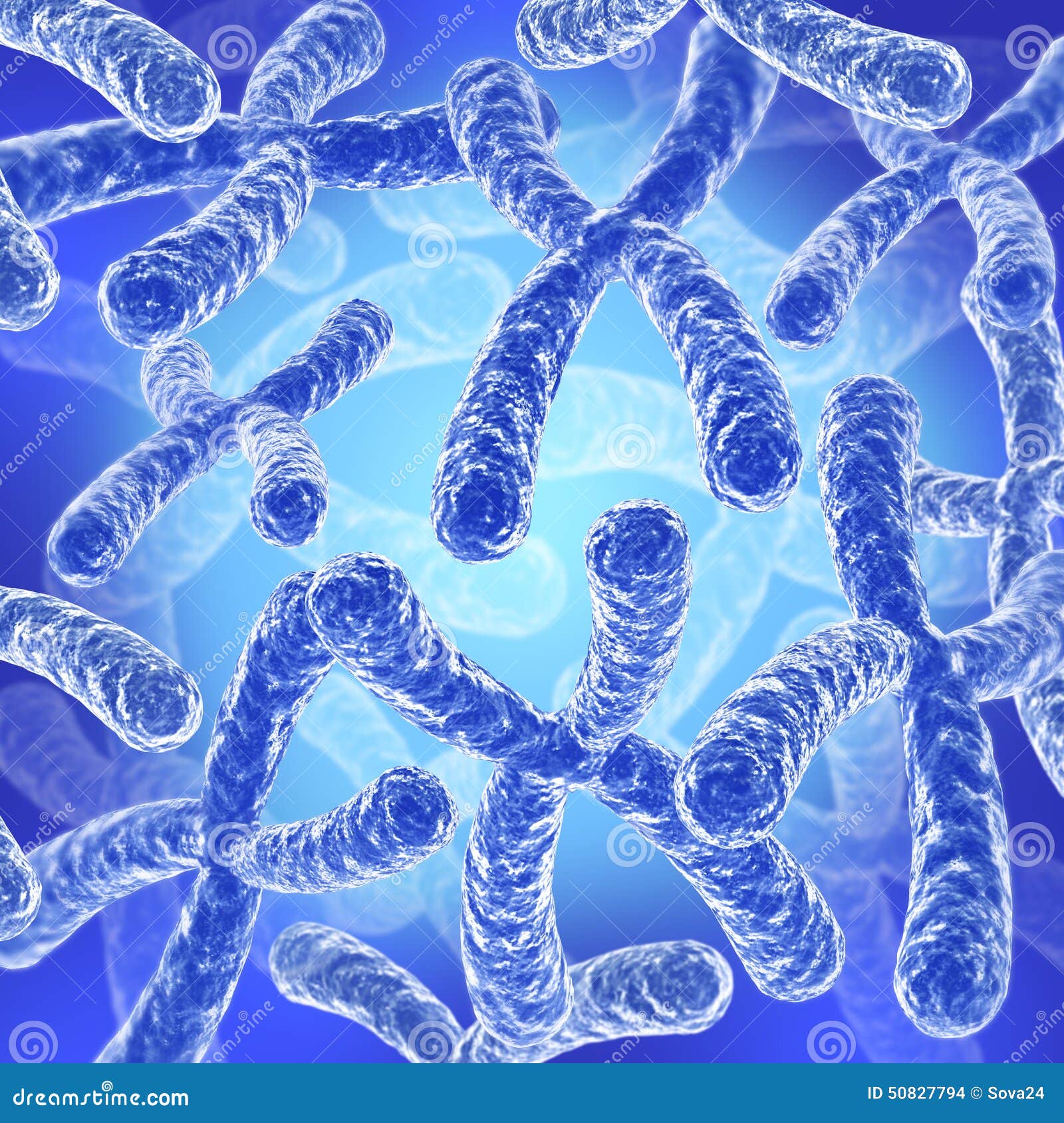 Chromosome Background