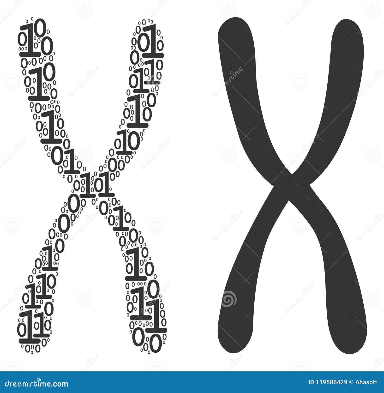 Chromosome Collage of Binary Digits Stock Vector - Illustration of ...