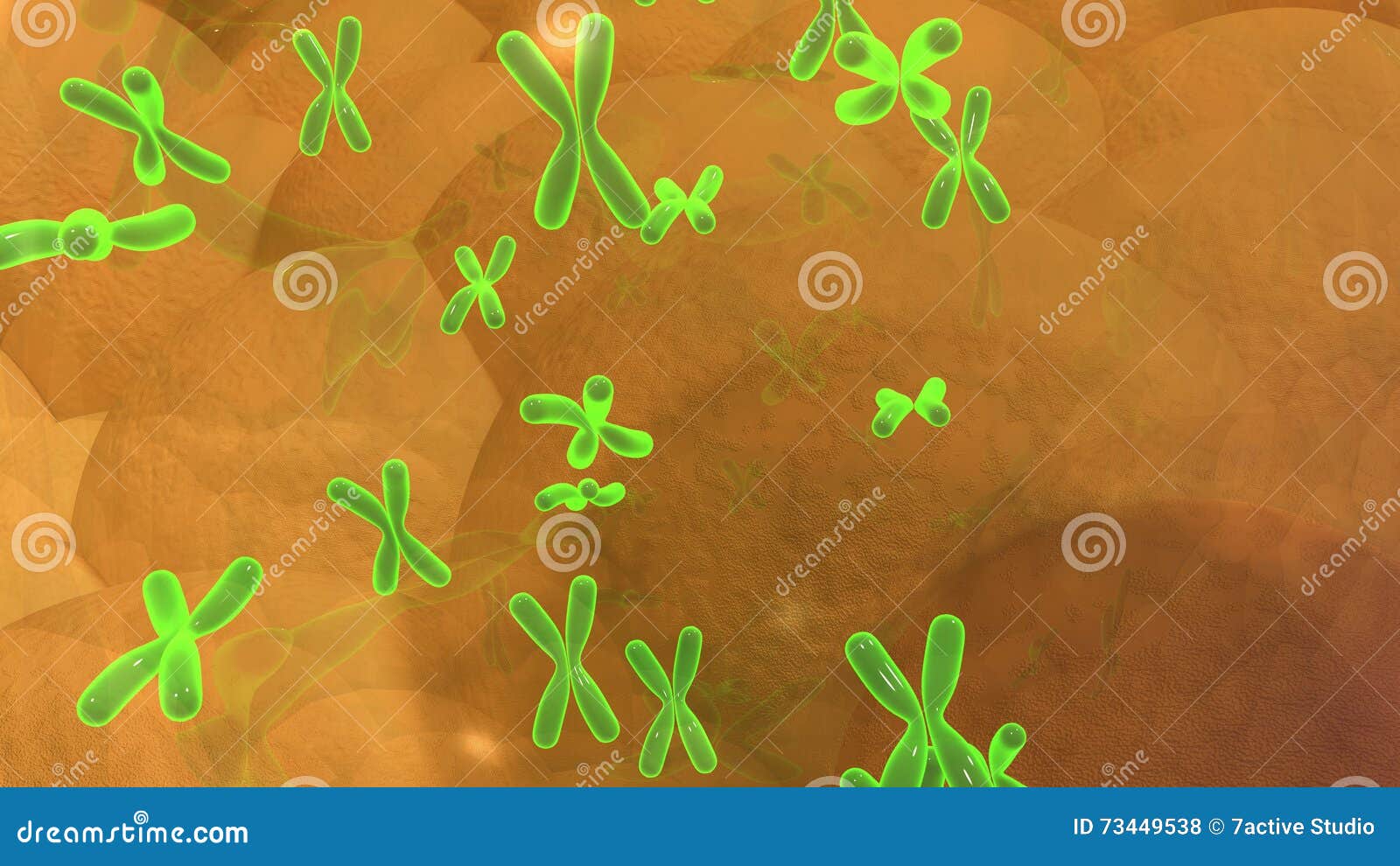 Chromosome stock illustration. Illustration of coils - 73449538