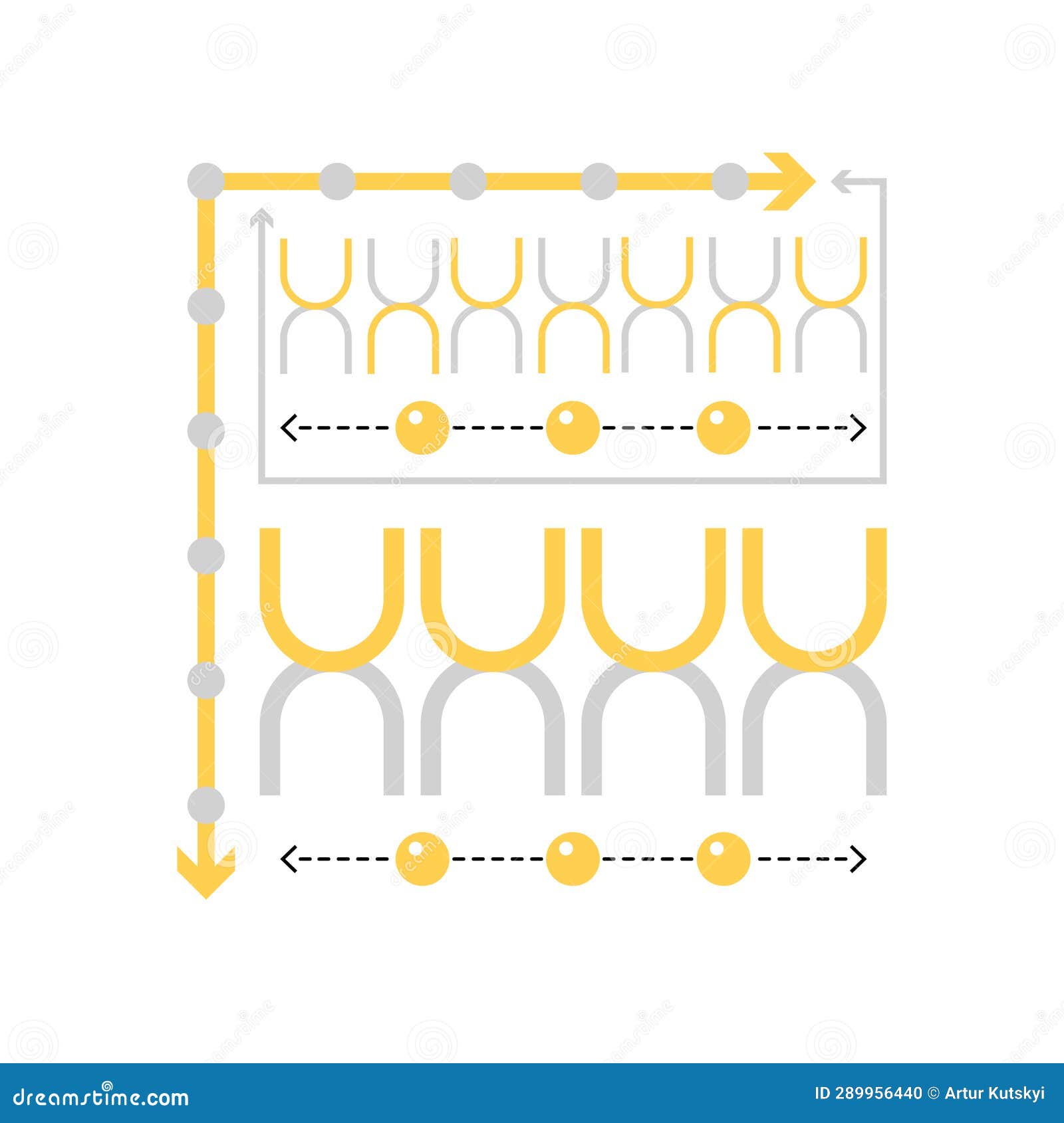 Homologous Structure Vector Illustration. Biological Species Example ...