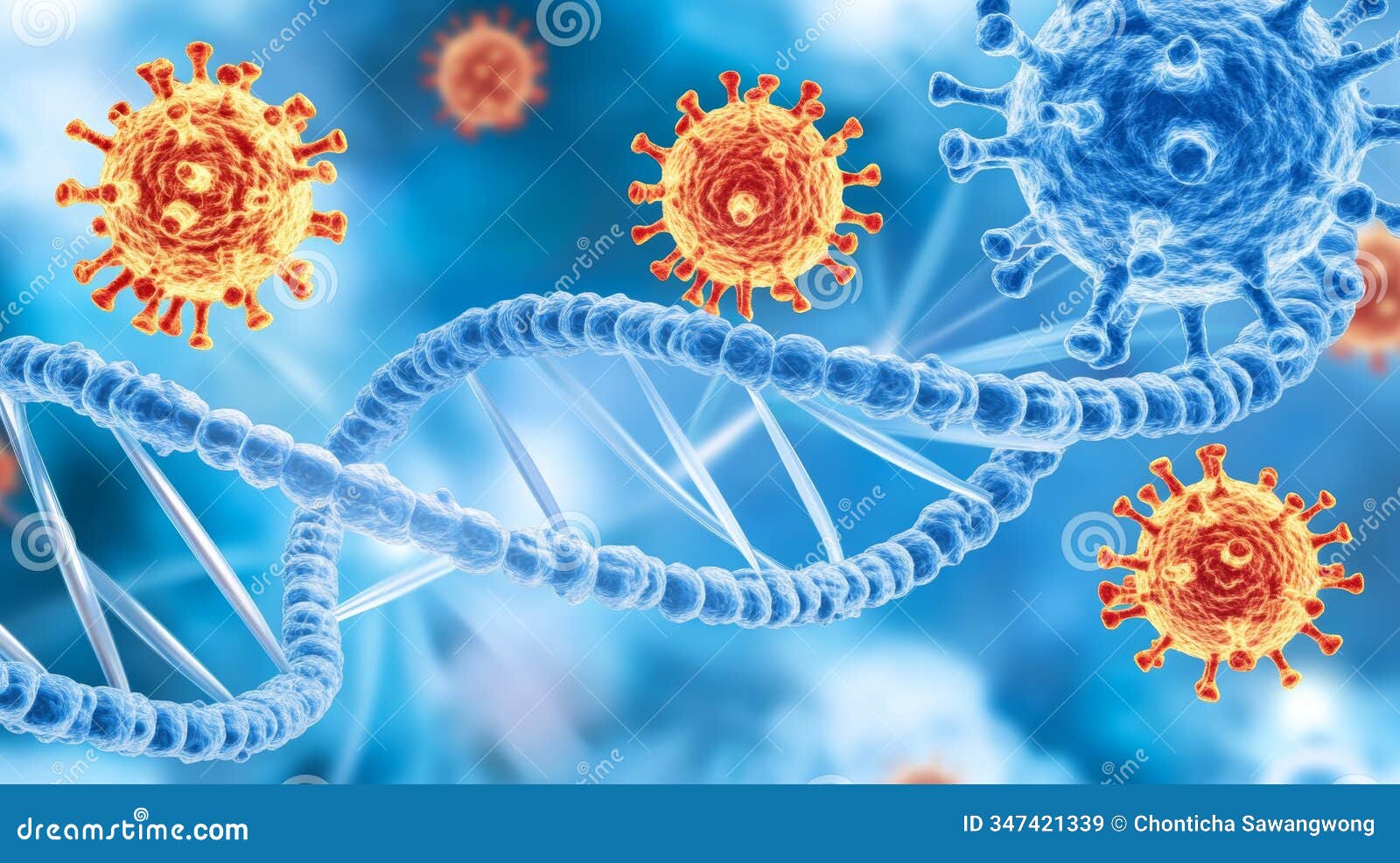 Chromosome Structure and Function, a Detailed Illustration for Genetics ...