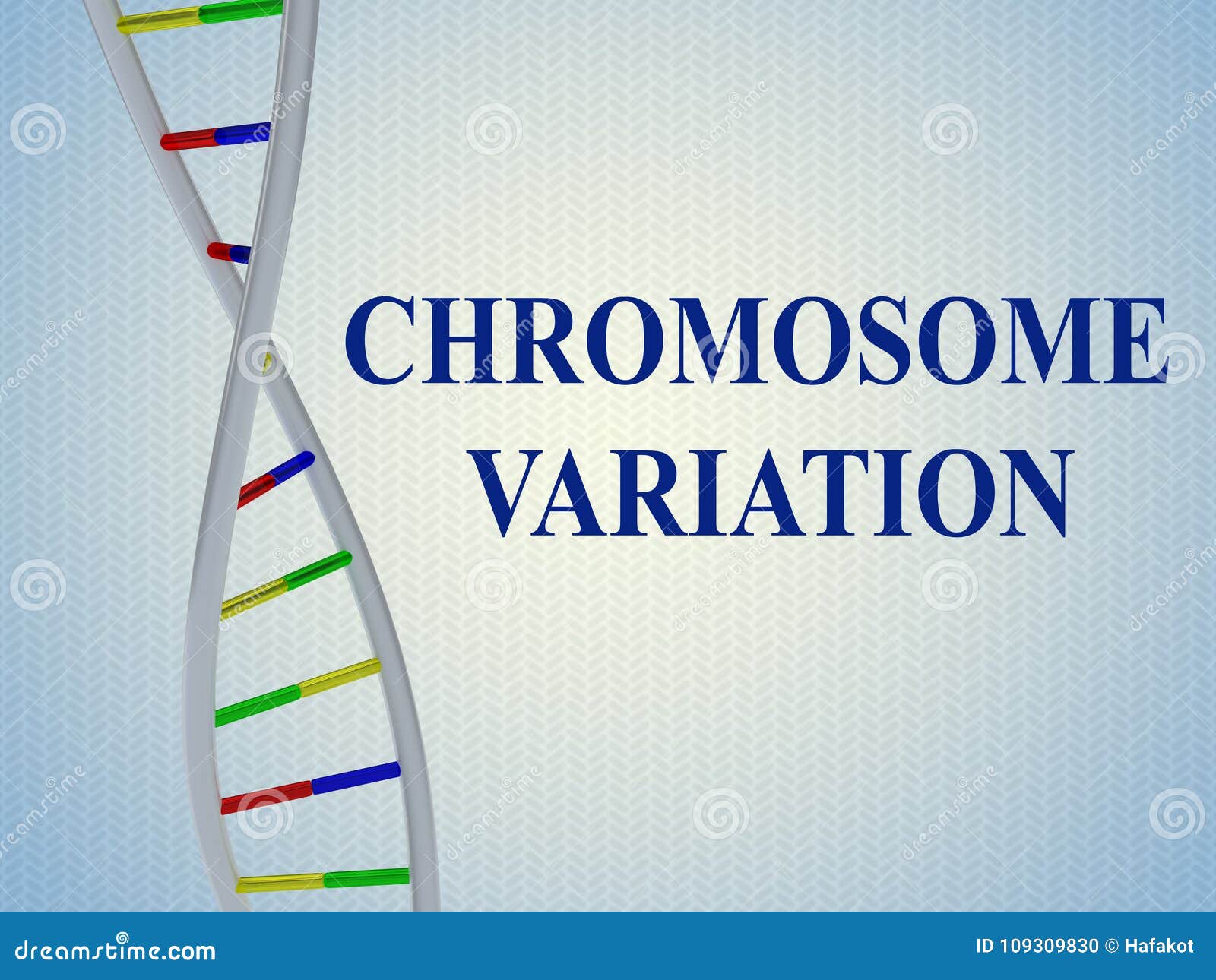 CHROMOSOME VARIATION Concept Stock Illustration - Illustration of ...