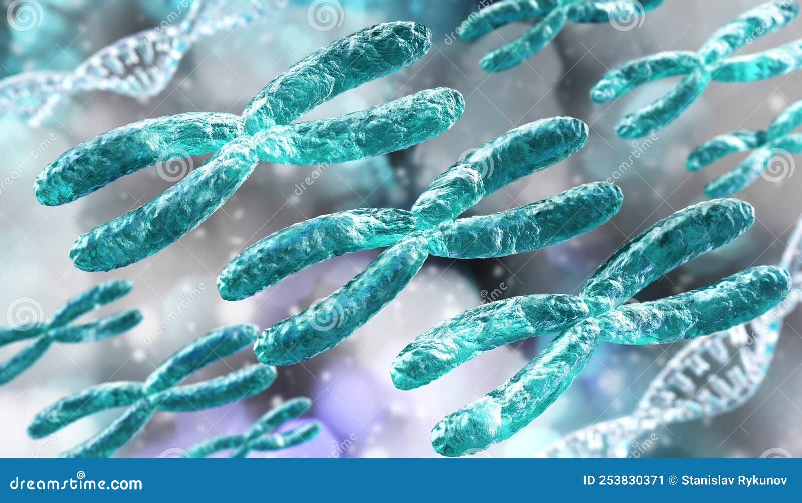 Human Gene X Chromosome Royalty-Free Stock Photo | CartoonDealer.com ...
