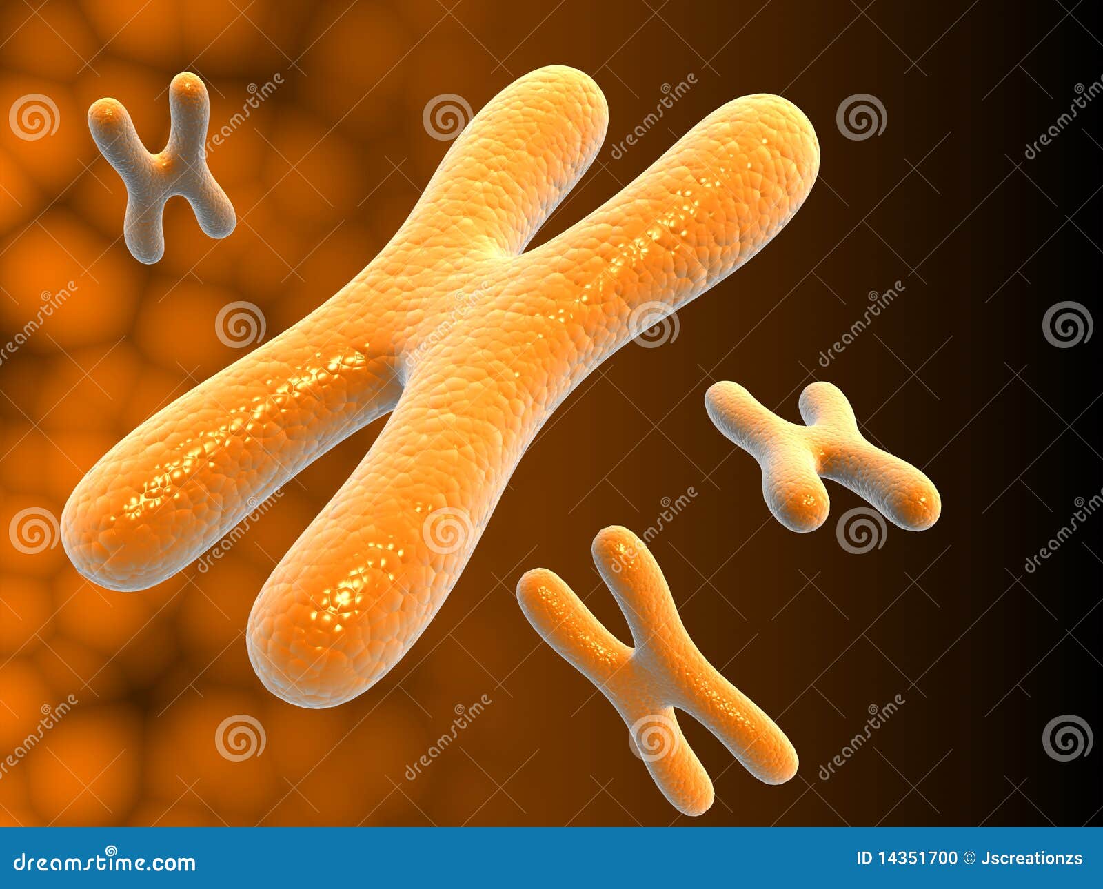 Chromosomes stock illustration. Illustration of microscope - 14351700