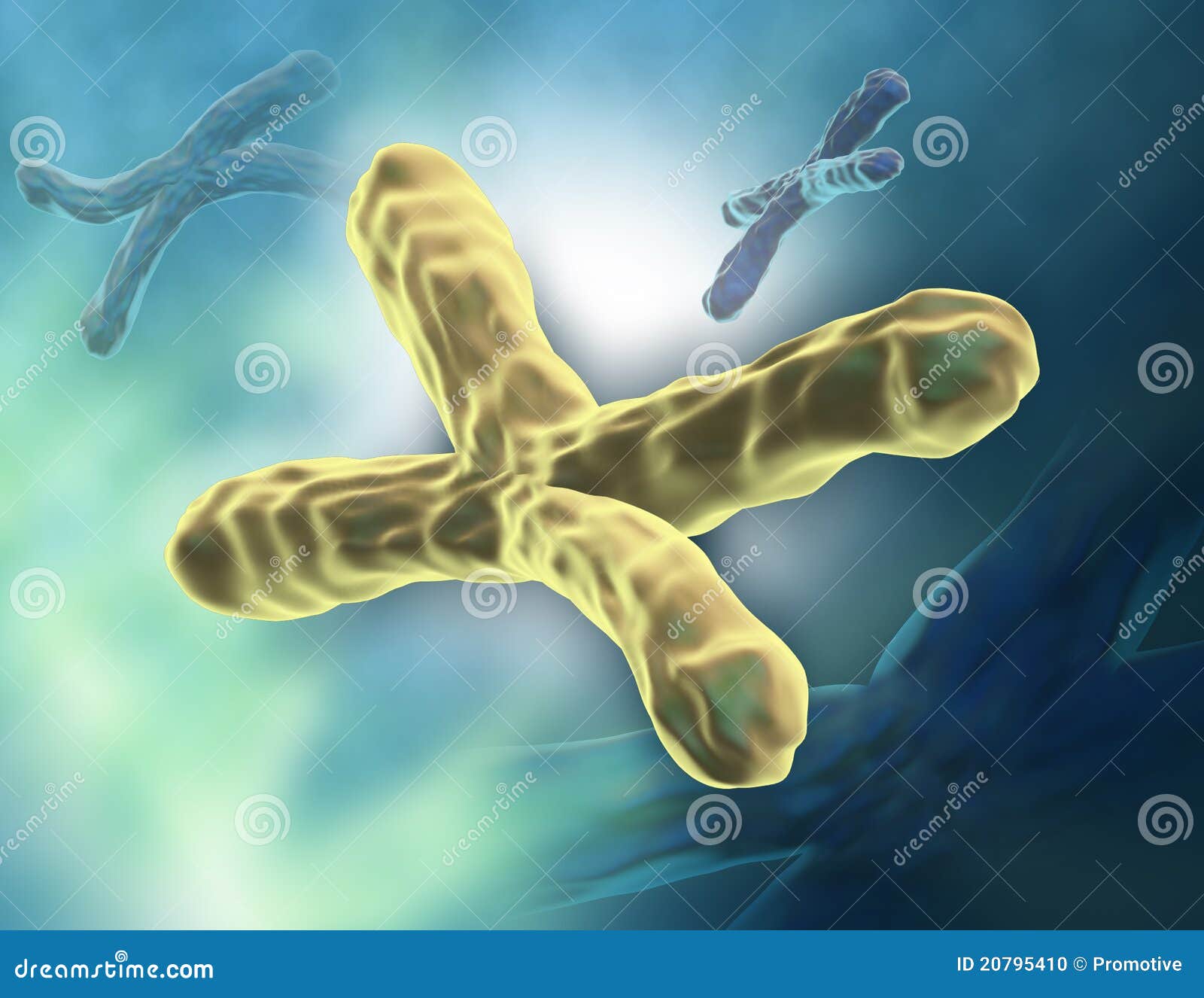 Chromosomes Cartoons, Illustrations & Vector Stock Images - 2795 ... Chromosomes Cartoons, Illustrations & Vector Stock Images - 2795 ...