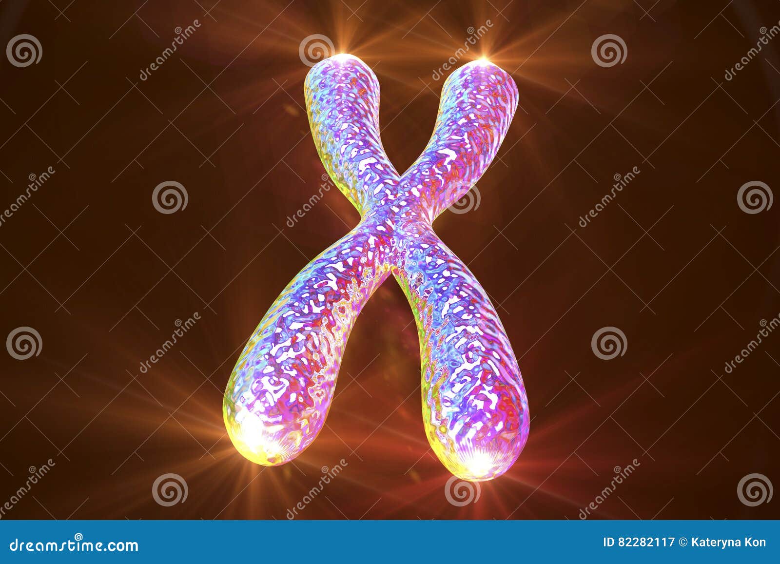 Chromosomes Humains, Illustration Illustration Stock - Illustration du ...