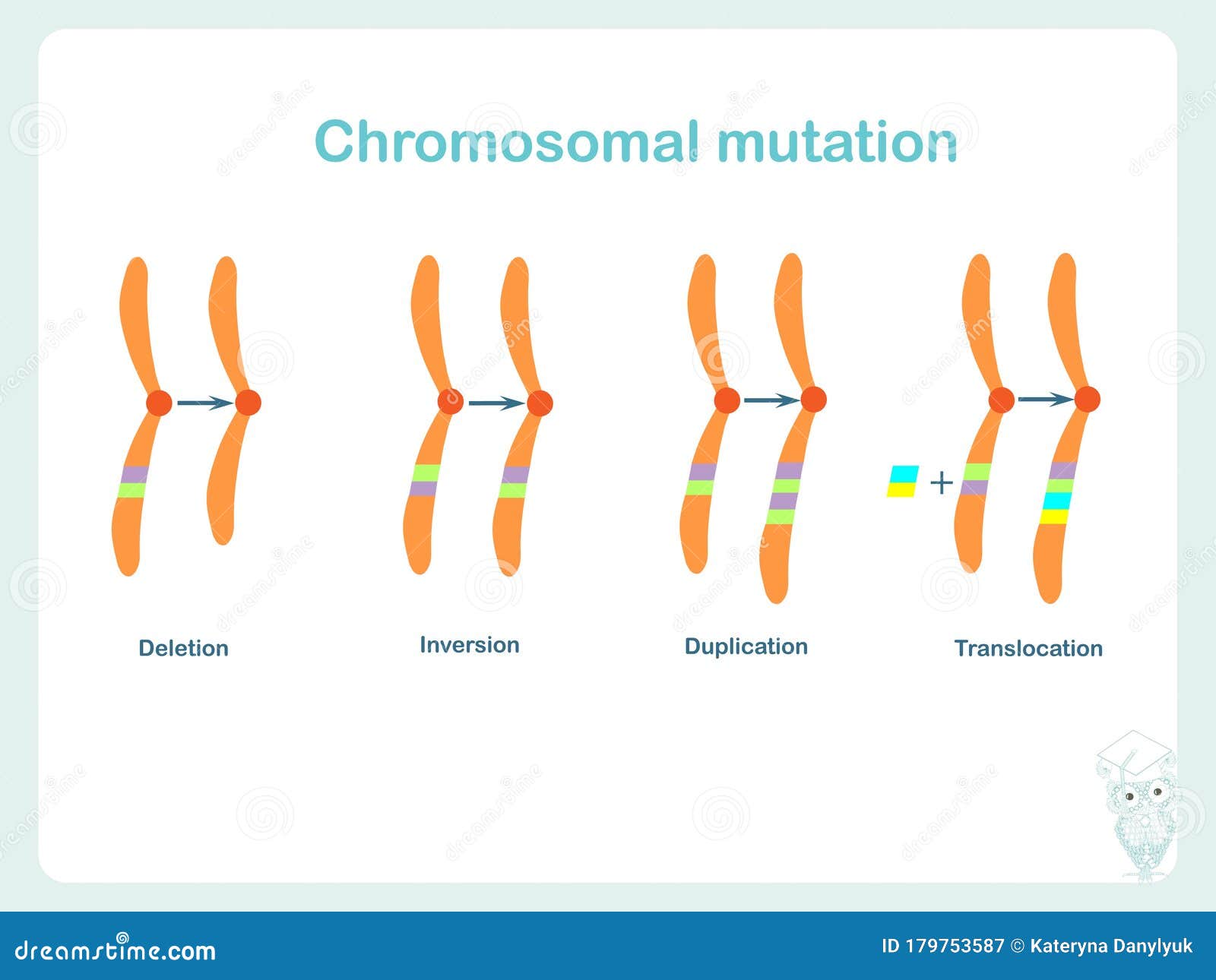 Chromosomes Mutation Banner. Design Element Stock Vector Illustration ... Chromosomes Mutation Banner. Design Element Stock Vector Illustration ...