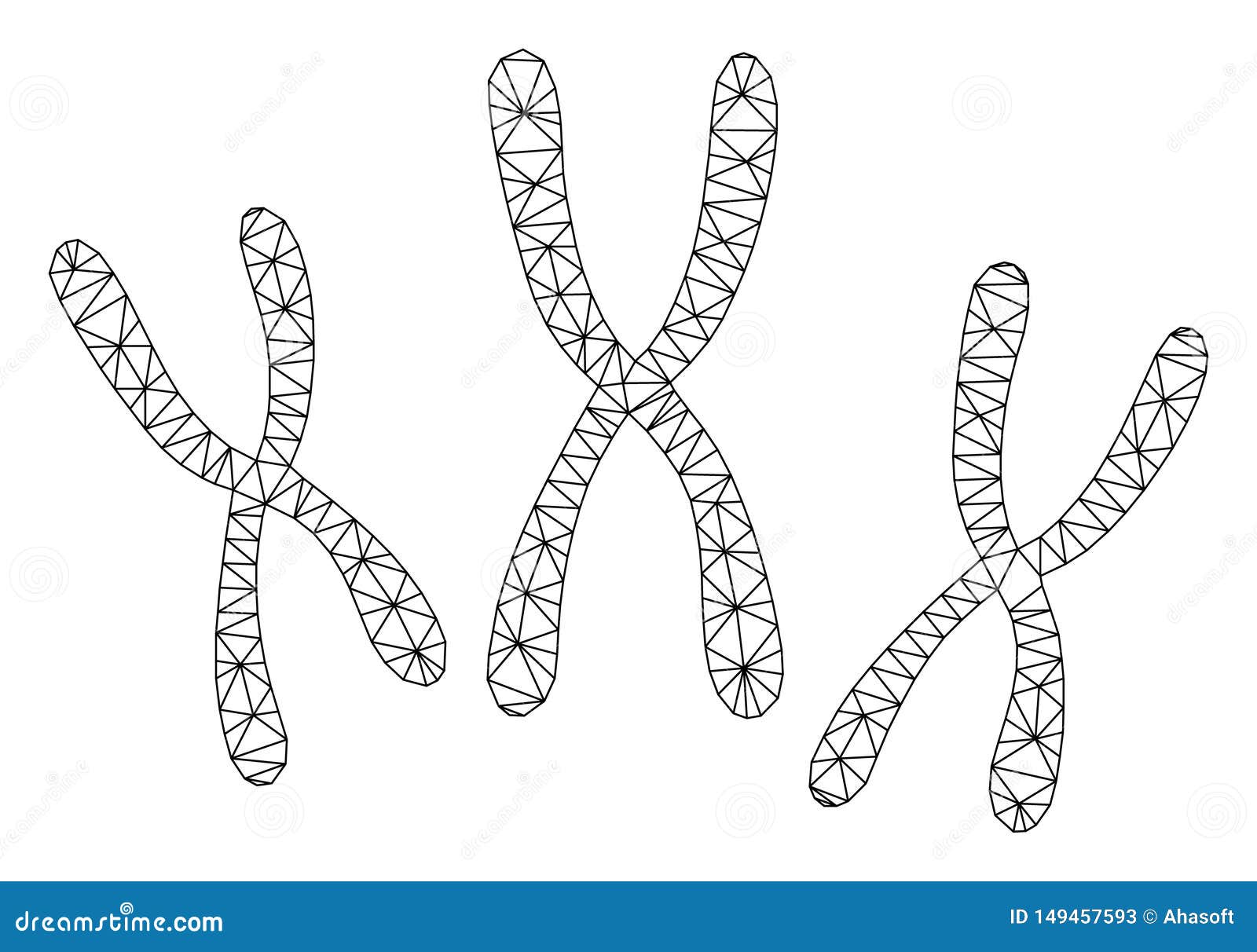 Chromosomes Polygonal Frame Vector Mesh Illustration Stock Vector ...