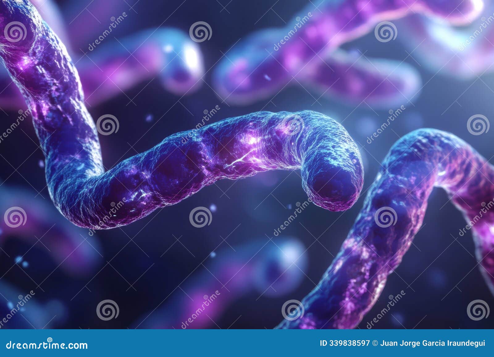 Chromosomes Replicate in Cell Division Stock Image - Image of ...