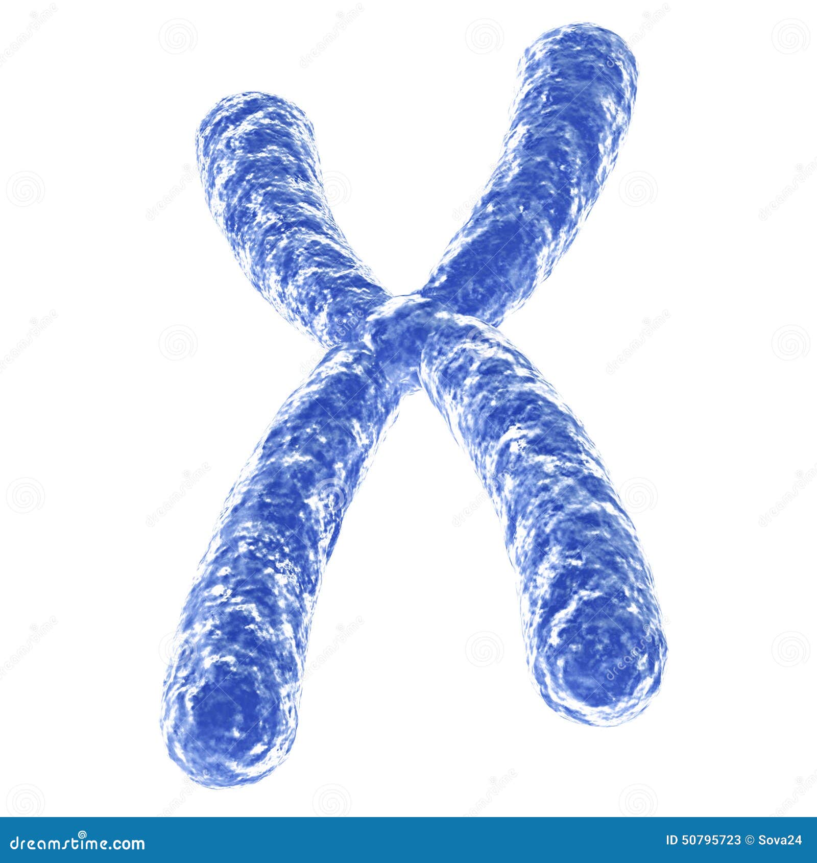 Chromosoom stock illustratie. Afbeelding bestaande uit dimensionaal ...