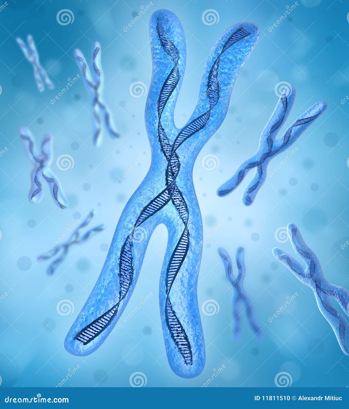 Chromosoom X, De Bundels Van DNA Stock Illustratie - Illustration of ...