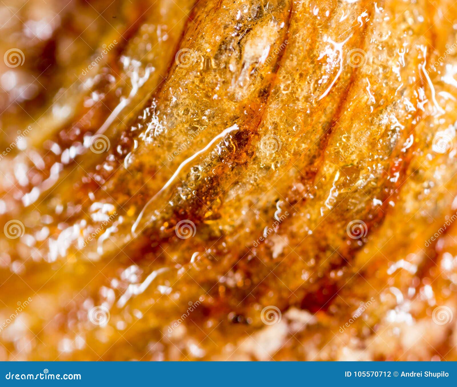 Chrysalides D'insecte Comme Fond Macro Photo stock - Image du insecte ...