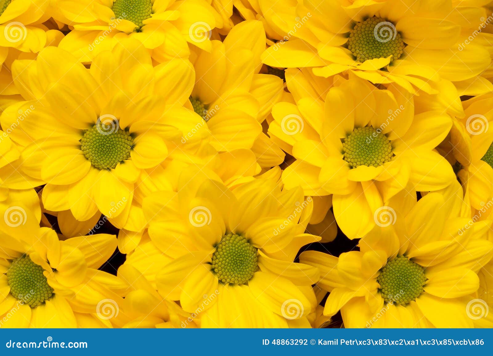 Bright Red Bacardi Alcoholic Cocktail And Cut In Half Lime On A Dark ...