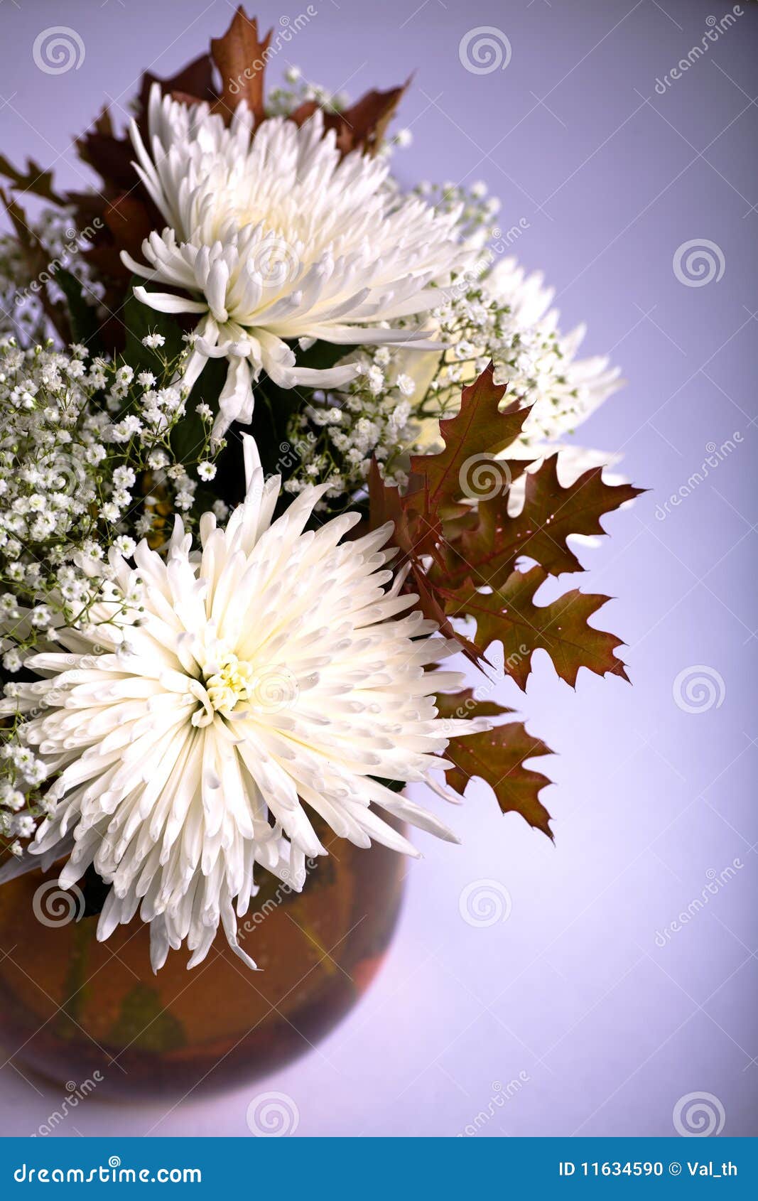 Chrysanths bunch stock photo. Image of backyard, dahlia - 11634590