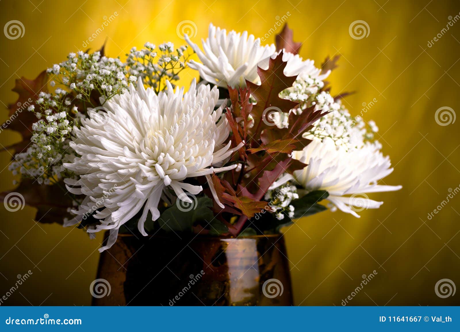Chrysanths bunch stock image. Image of backyard, flowers - 11641667