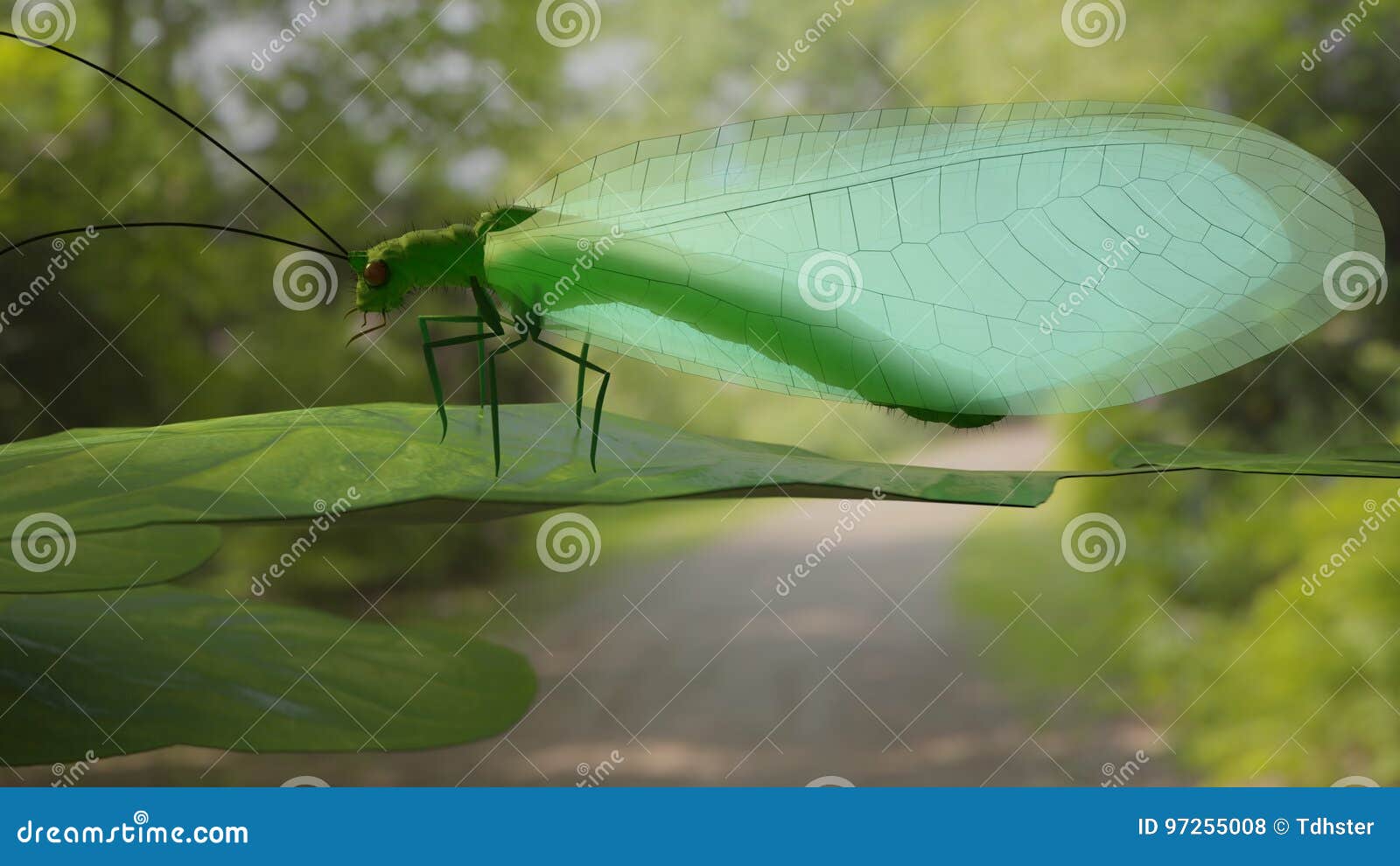 Green Lacewing Aquatic Insect Mayfly Royalty-Free Cartoon ...