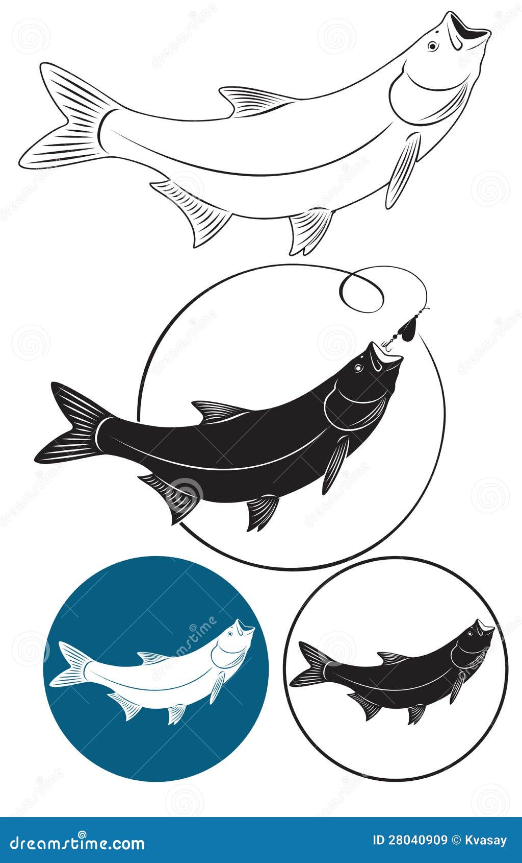 Chub fish stock vector. Illustration of chub, jack, spoon - 28040909
