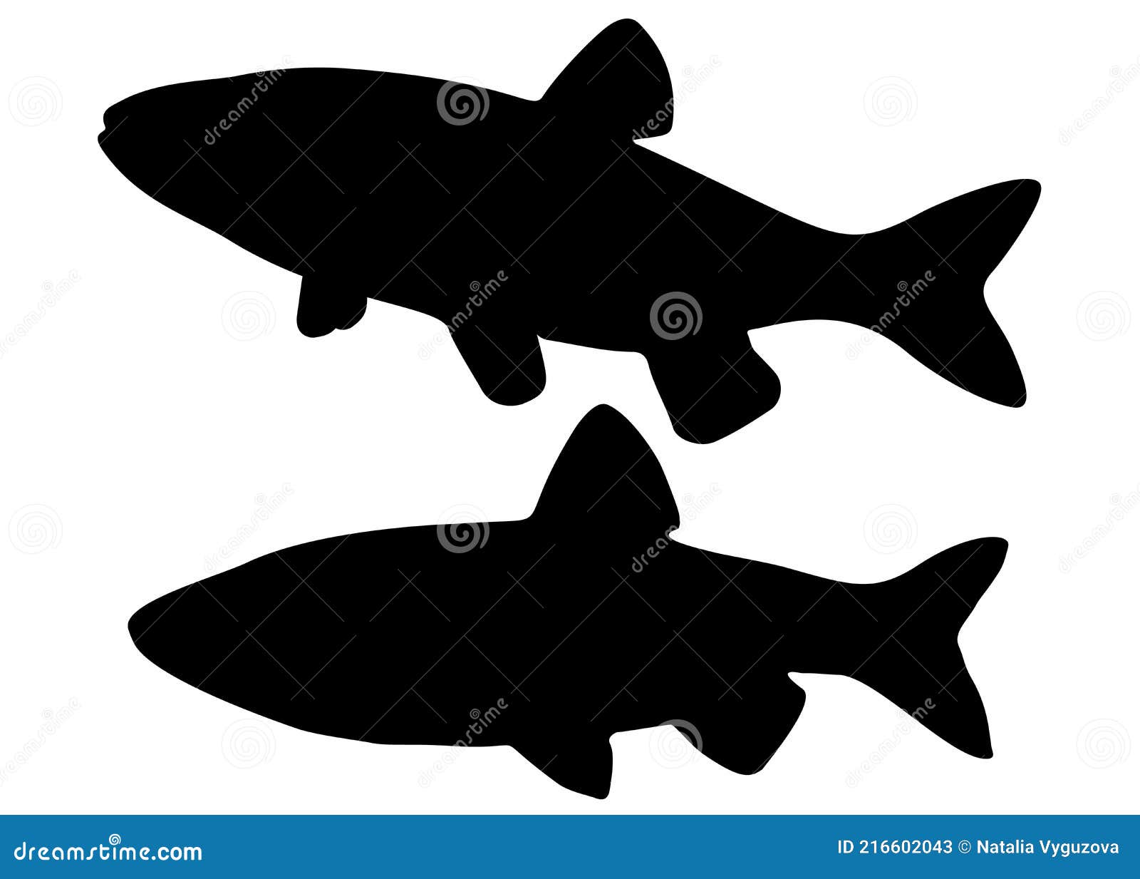 Chub Fish Stock Photography | CartoonDealer.com #56560904