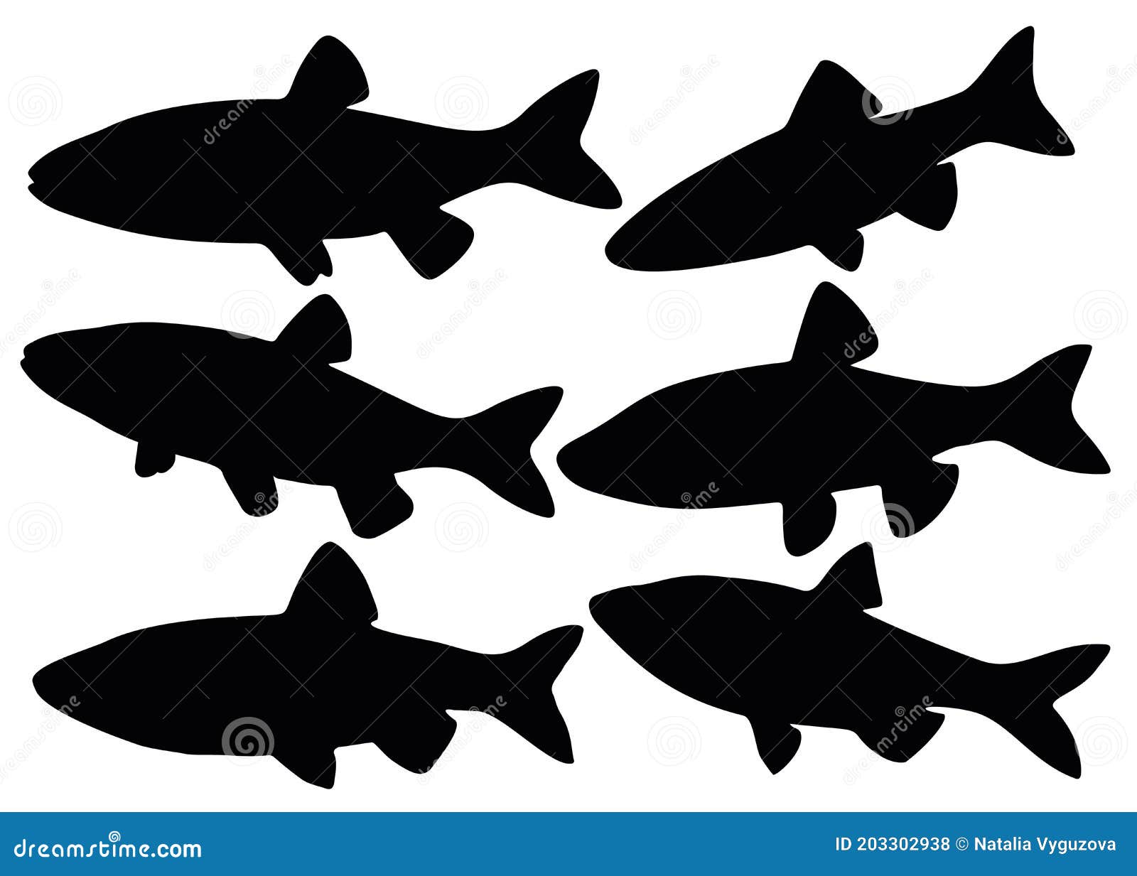 Chub Fish Stock Photography | CartoonDealer.com #56560904