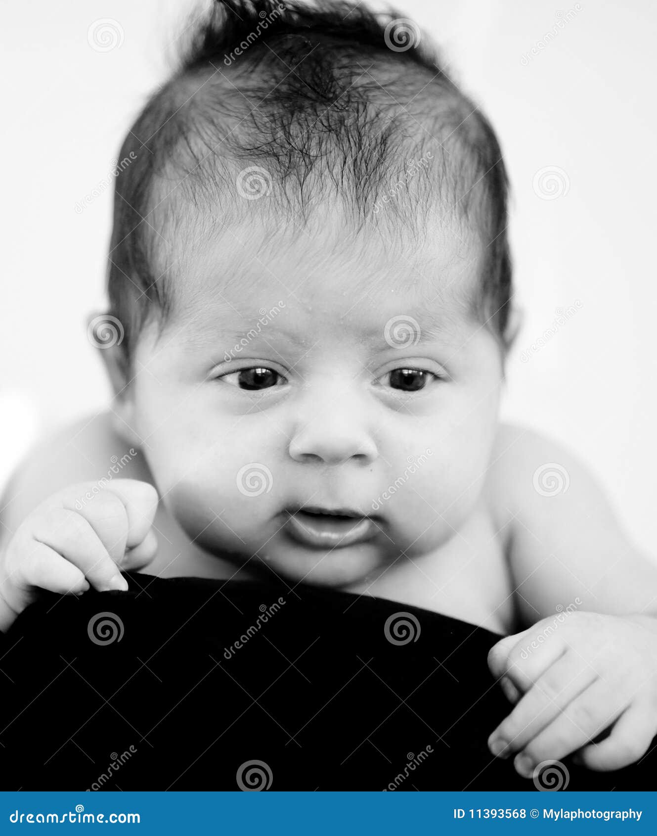Chubby baby stock photo. Image of bright, month, newborn - 11393568