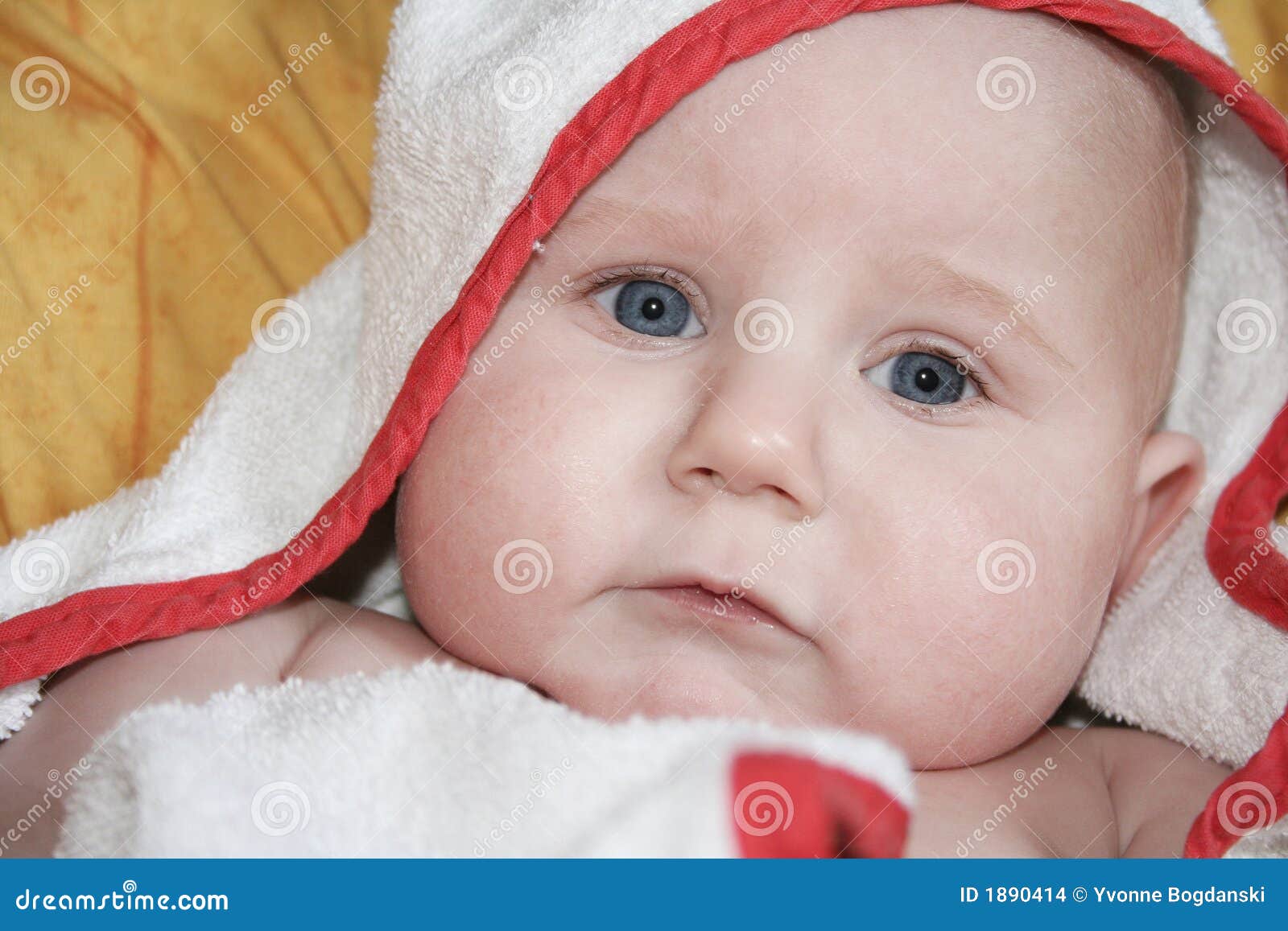 Chubby Baby stock photo. Image of sadness, little, baby - 1890414 Chubby Baby stock photo. Image of sadness, little, baby - 1890414