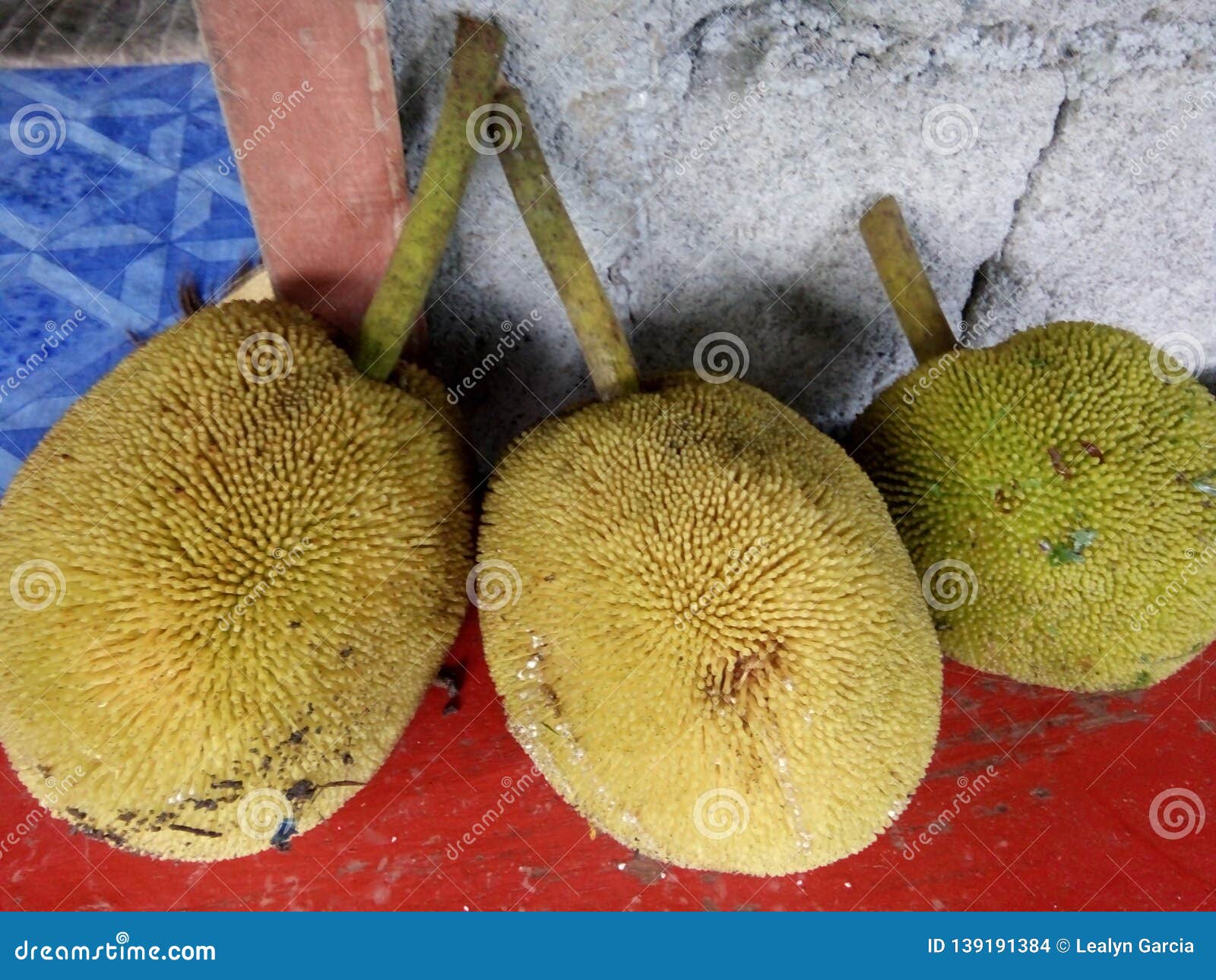 Chuckie stock photo. Image of amazing, filipino, chuckie - 139191384