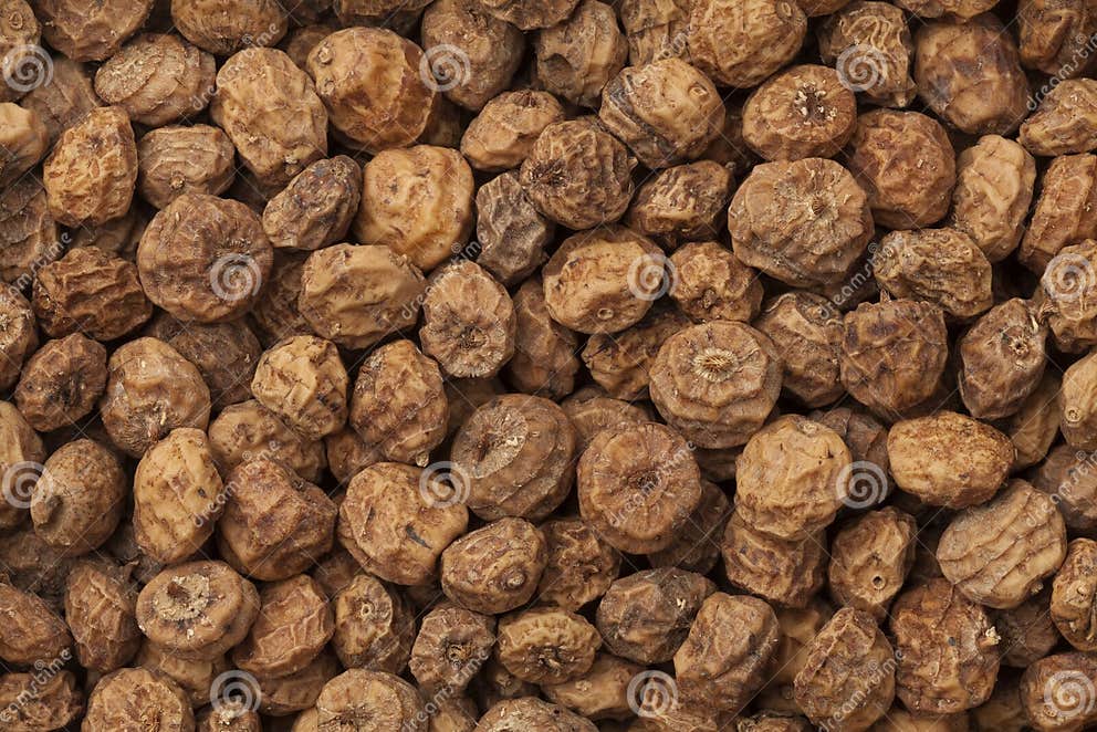 Chufa nuts full frame stock image. Image of frame, weed - 91458909