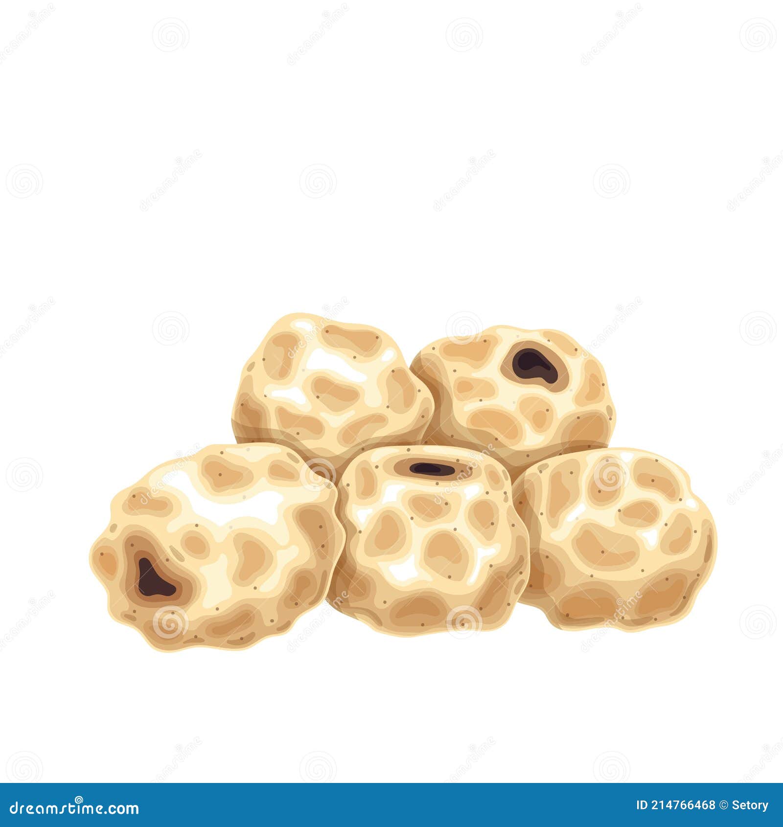 Chufa Tiger Nuts Illustration Stock Vector - Illustration of snack ...