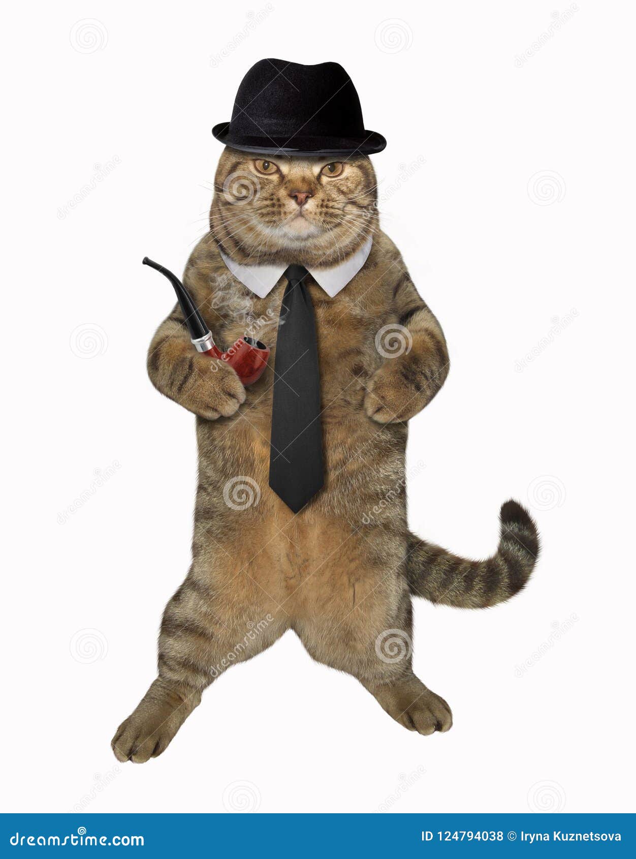 Chulo del gato con el tubo foto de archivo. Imagen de crisol - 124794038