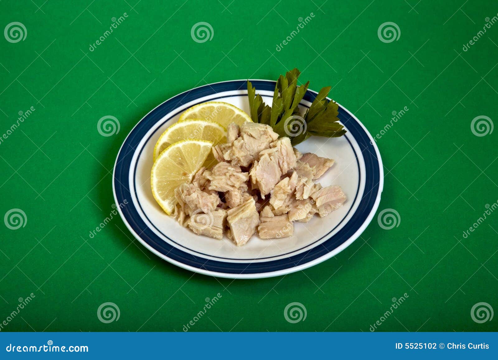 Chunk Tuna on Plate stock photo. Image of chunk, blue - 5525102