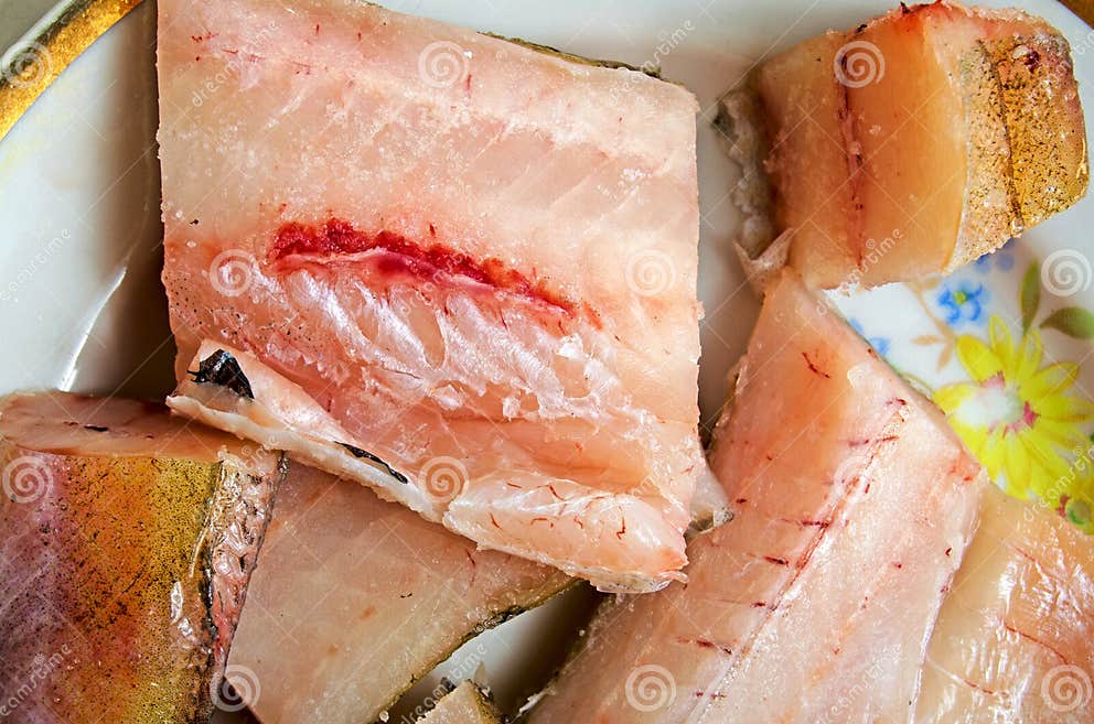 Chunks of Raw Fish on a Plate. Stock Image - Image of proteins, seafood ...