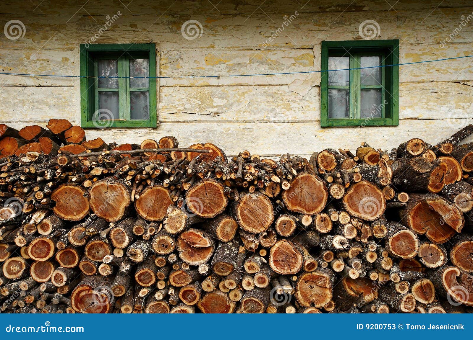 Chunks of wood stock image. Image of round, chunk, circle - 9200753