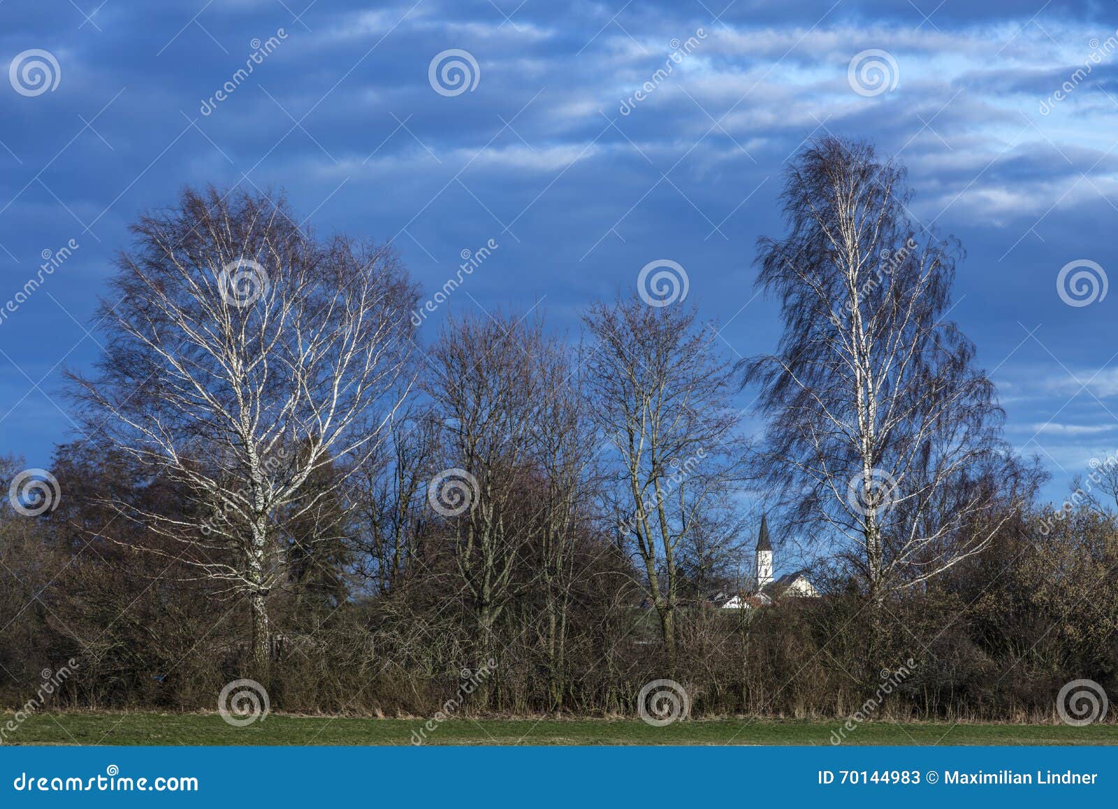 Church between Branches and Trees with Two Birches Stock Image - Image ...