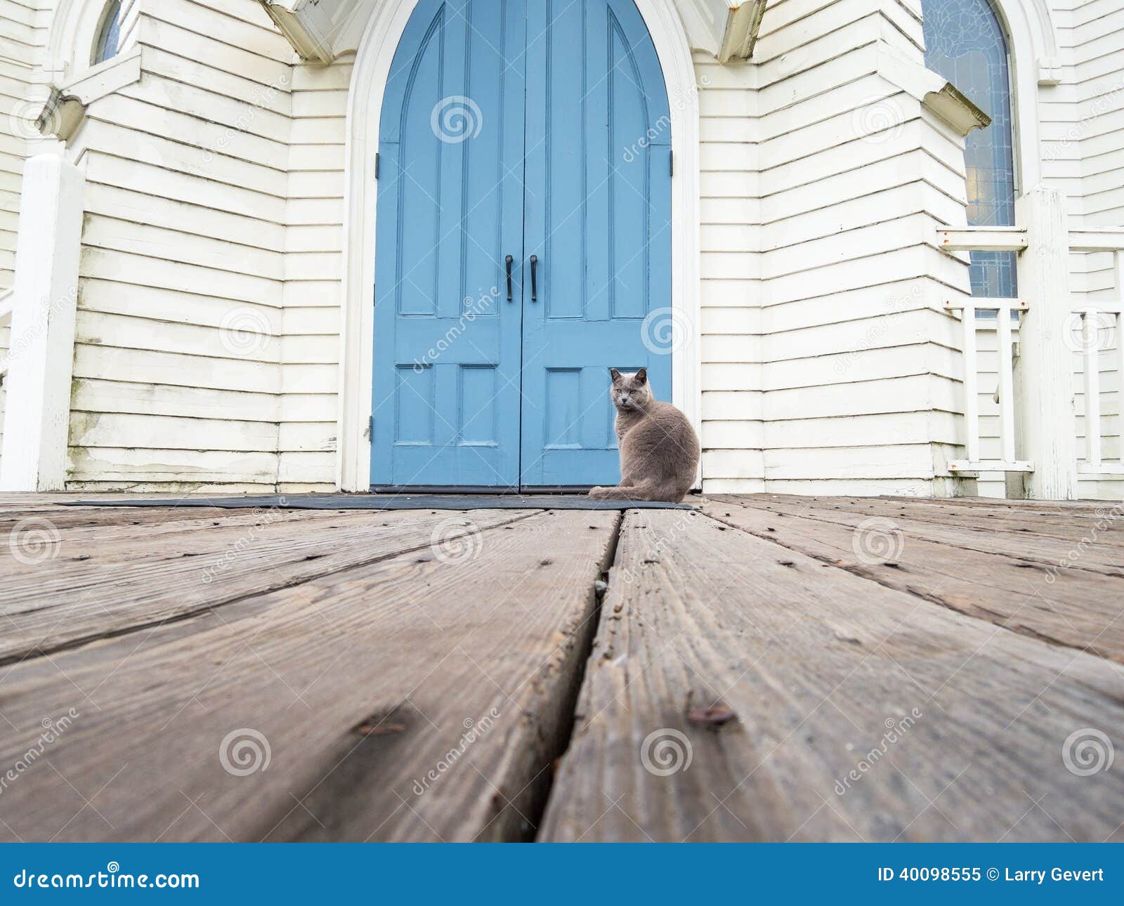 Church cat stock image. Image of cuddly, gothic, church - 40098555