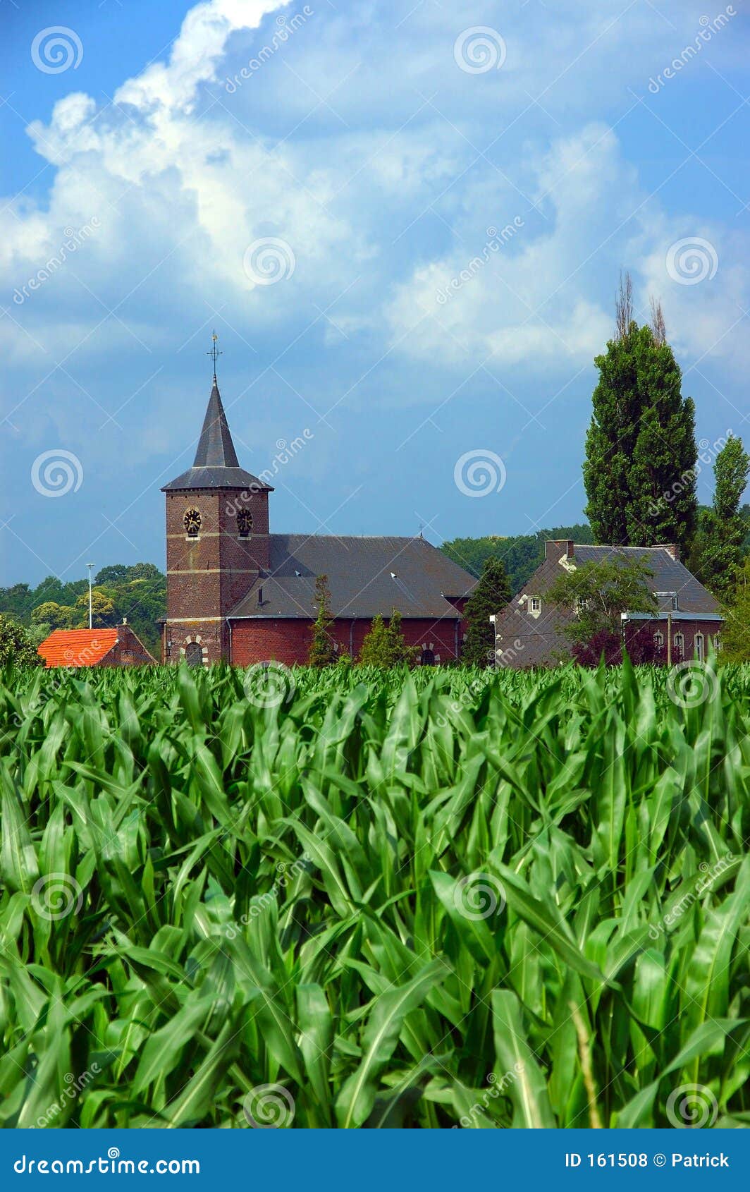 Church in corn field 2. stock photo. Image of scene, summer - 161508