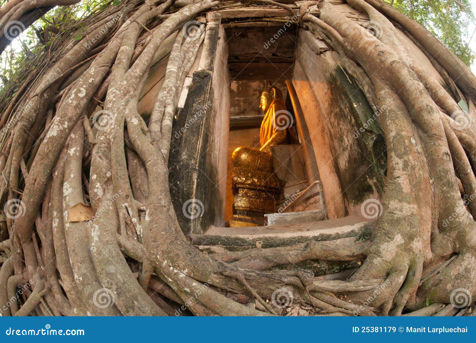 Church Covered Up the Roots,Thai Church. Stock Image - Image of church ...