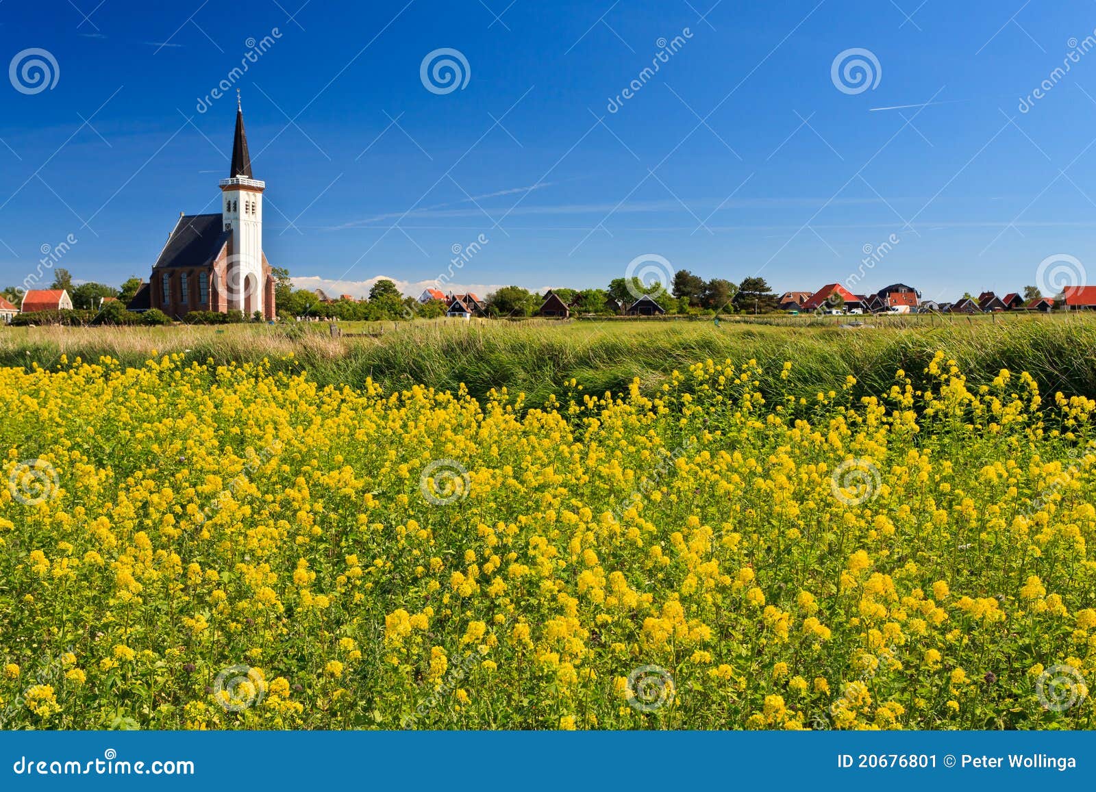 Church and Flower Field on a Sunny Day Stock Image - Image of rural ...