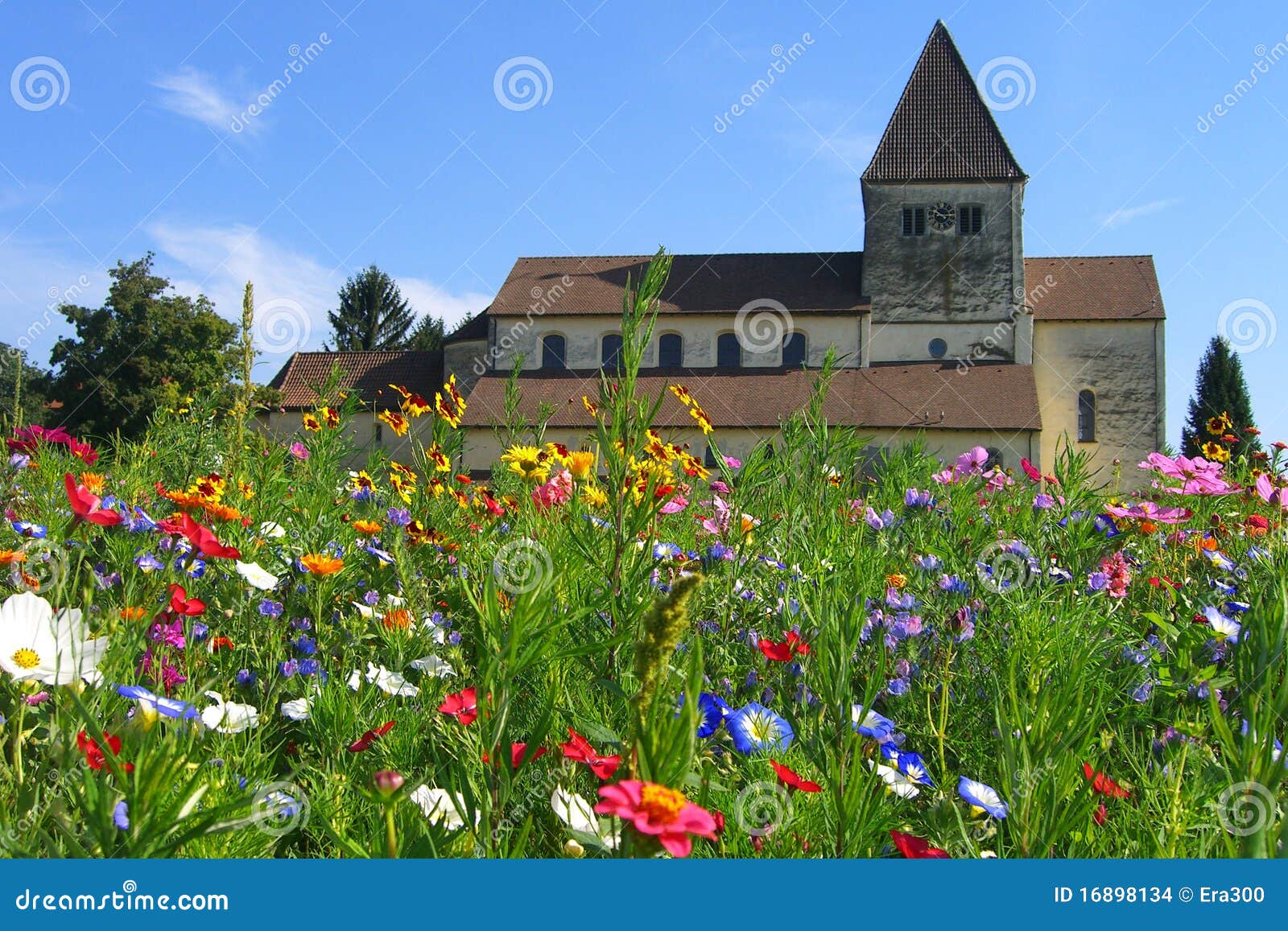 Church in flowers stock photo. Image of countryside, meadow - 16898134