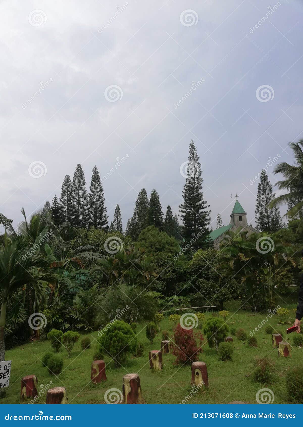 Church in a Forest stock photo. Image of plantation - 213071608