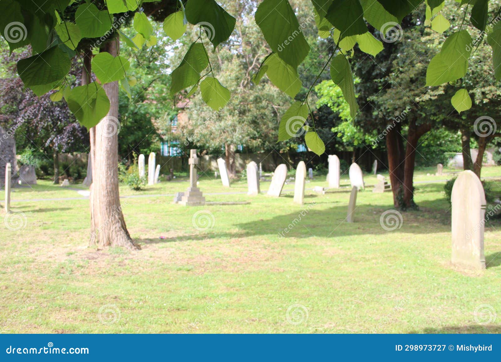 A Church Grave Yard through the Leaves of Tree Stock Image - Image of church, fruit: 298973727