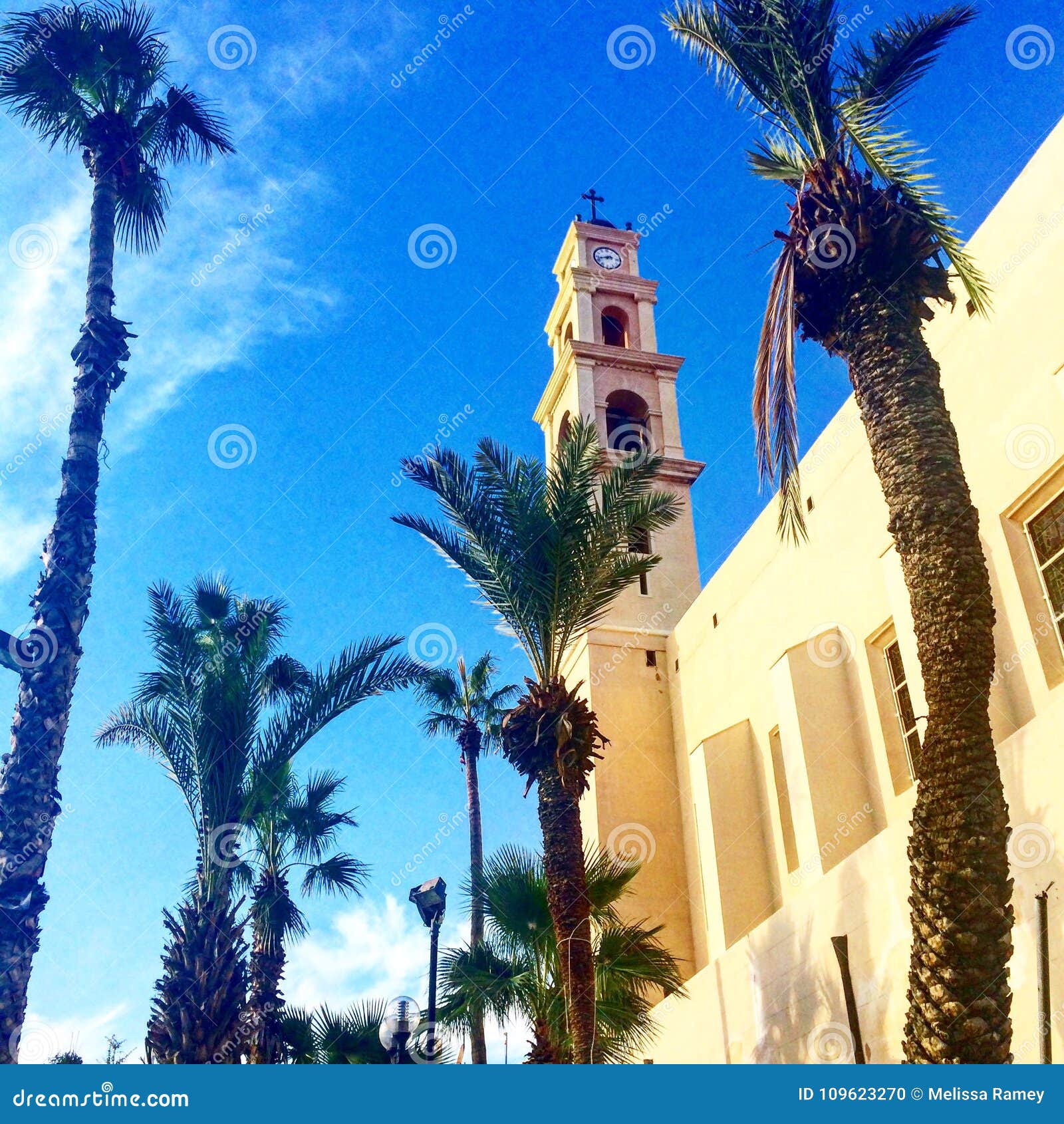 Church stock photo. Image of tree, church, palm, israel - 109623270