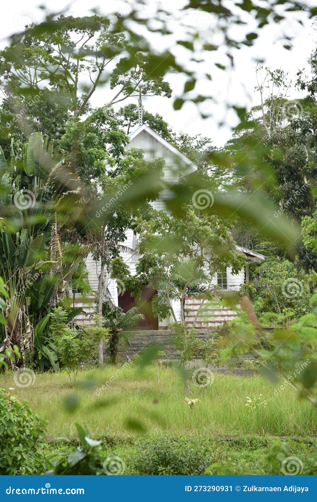 Church in the Middle of the Jungle Stock Image - Image of church ...