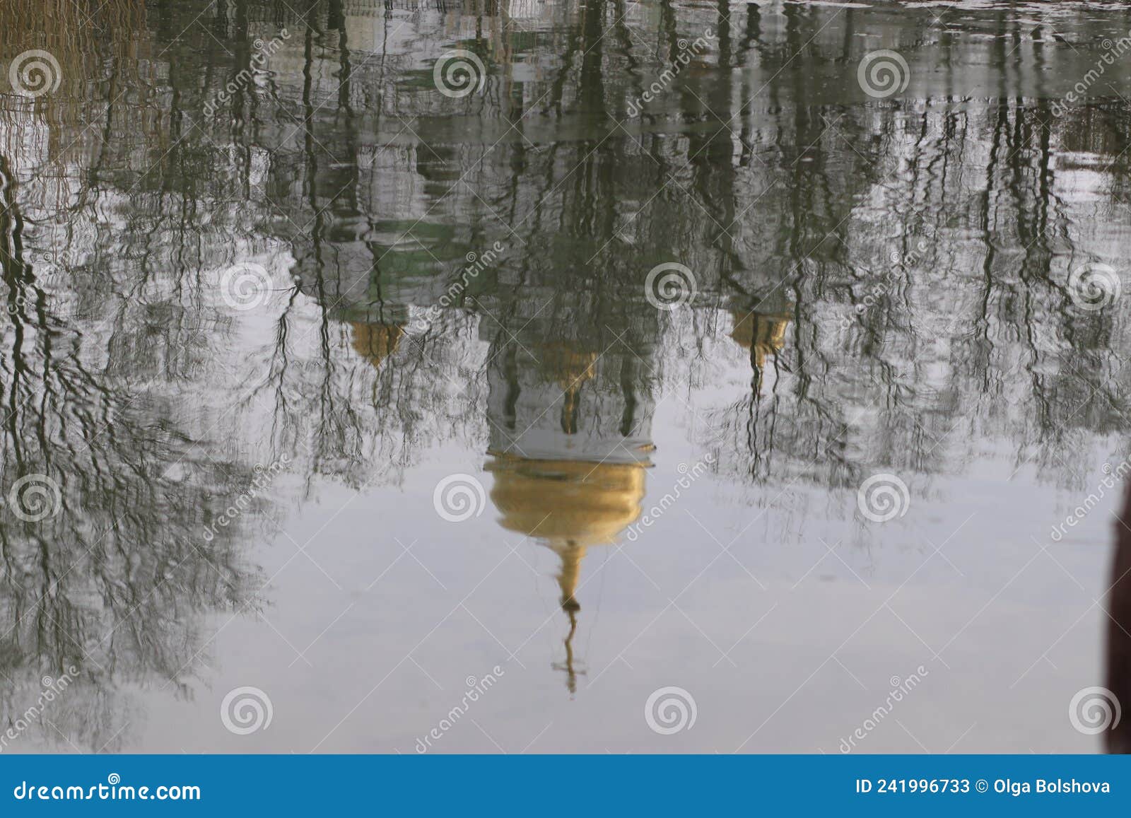 Church reflection stock image. Image of bird, plant - 241996733