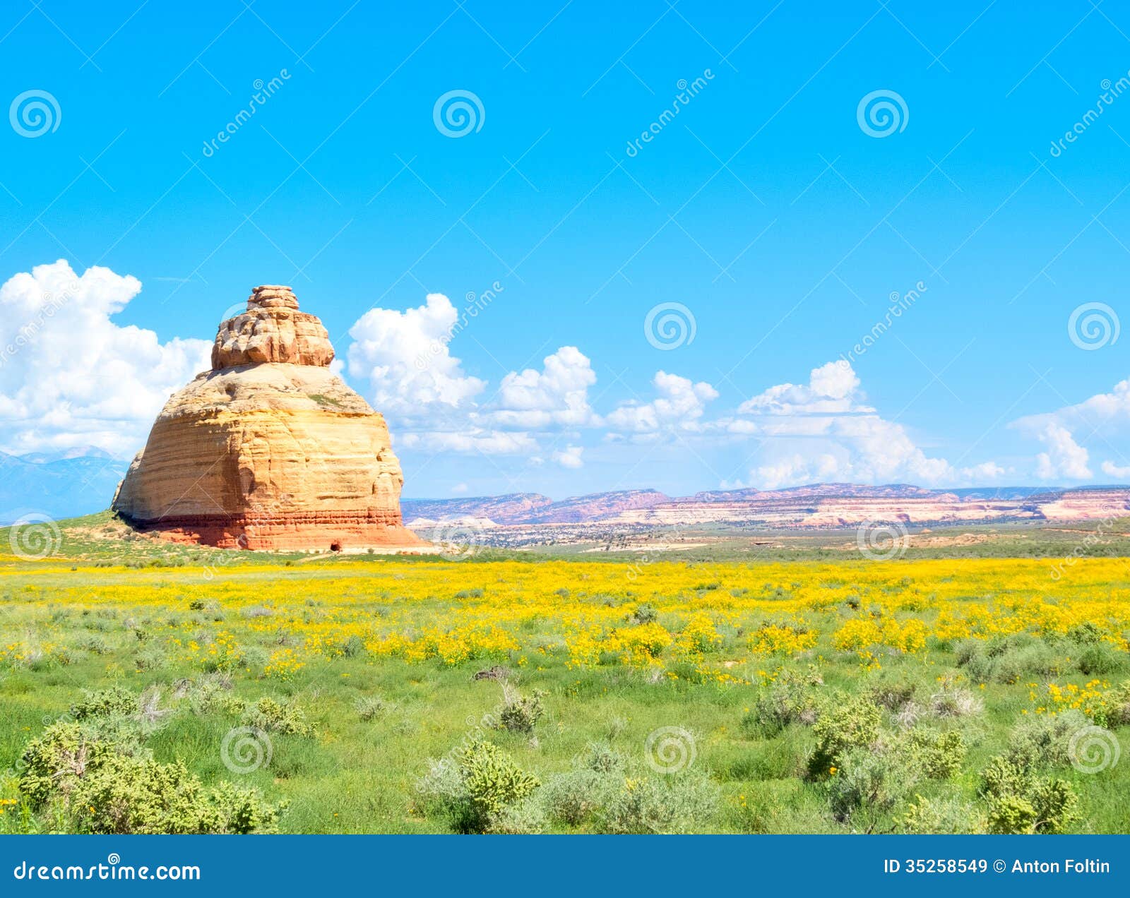 Church Rock stock image. Image of wildflower, sunflower - 35258549