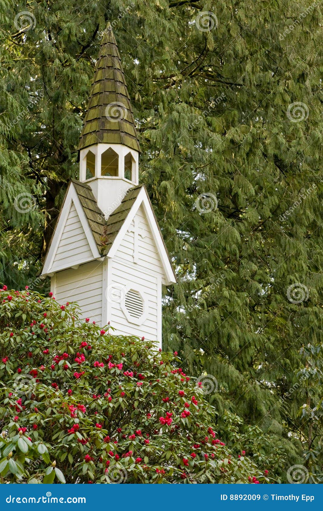 Church Steeple stock image. Image of steeple, trees, white - 8892009