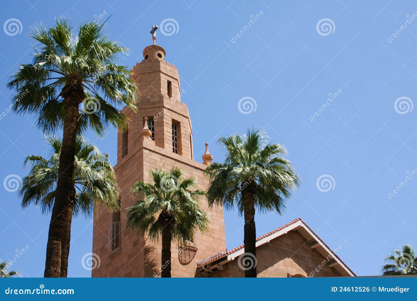Church Steeple with Palm Trees Stock Photo - Image of front, historic ...