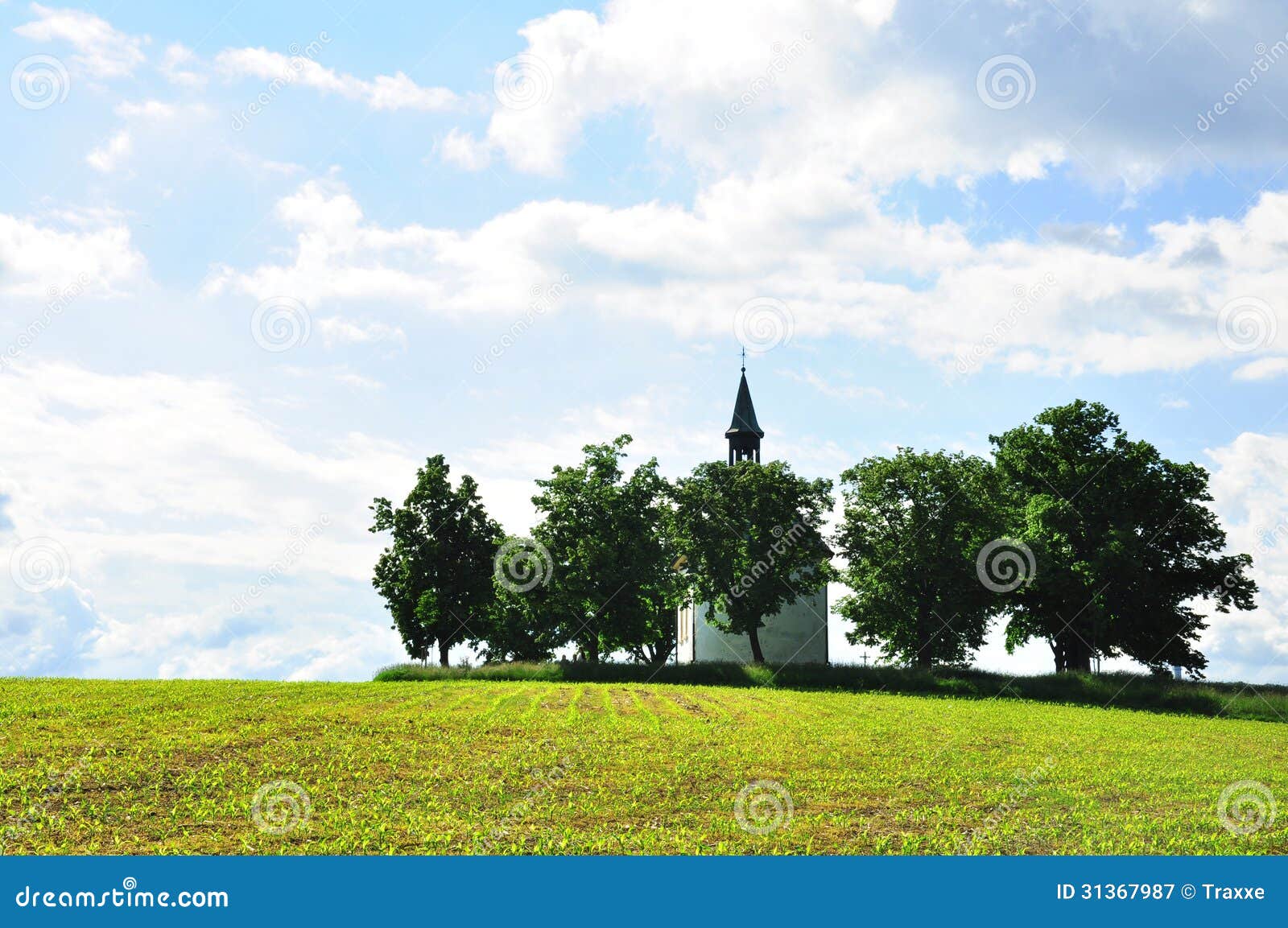 Church of the trees stock image. Image of blue, horizon - 31367987