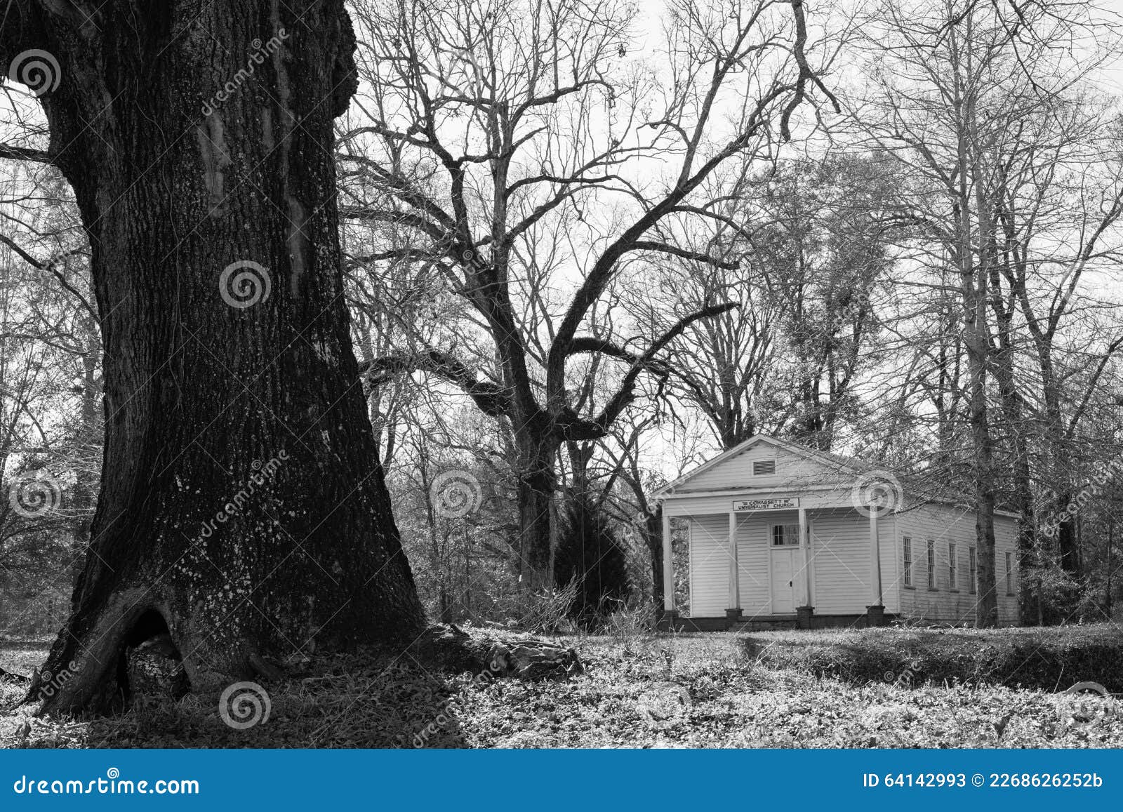 Church Under the Oaks stock image. Image of outdoors - 64142993