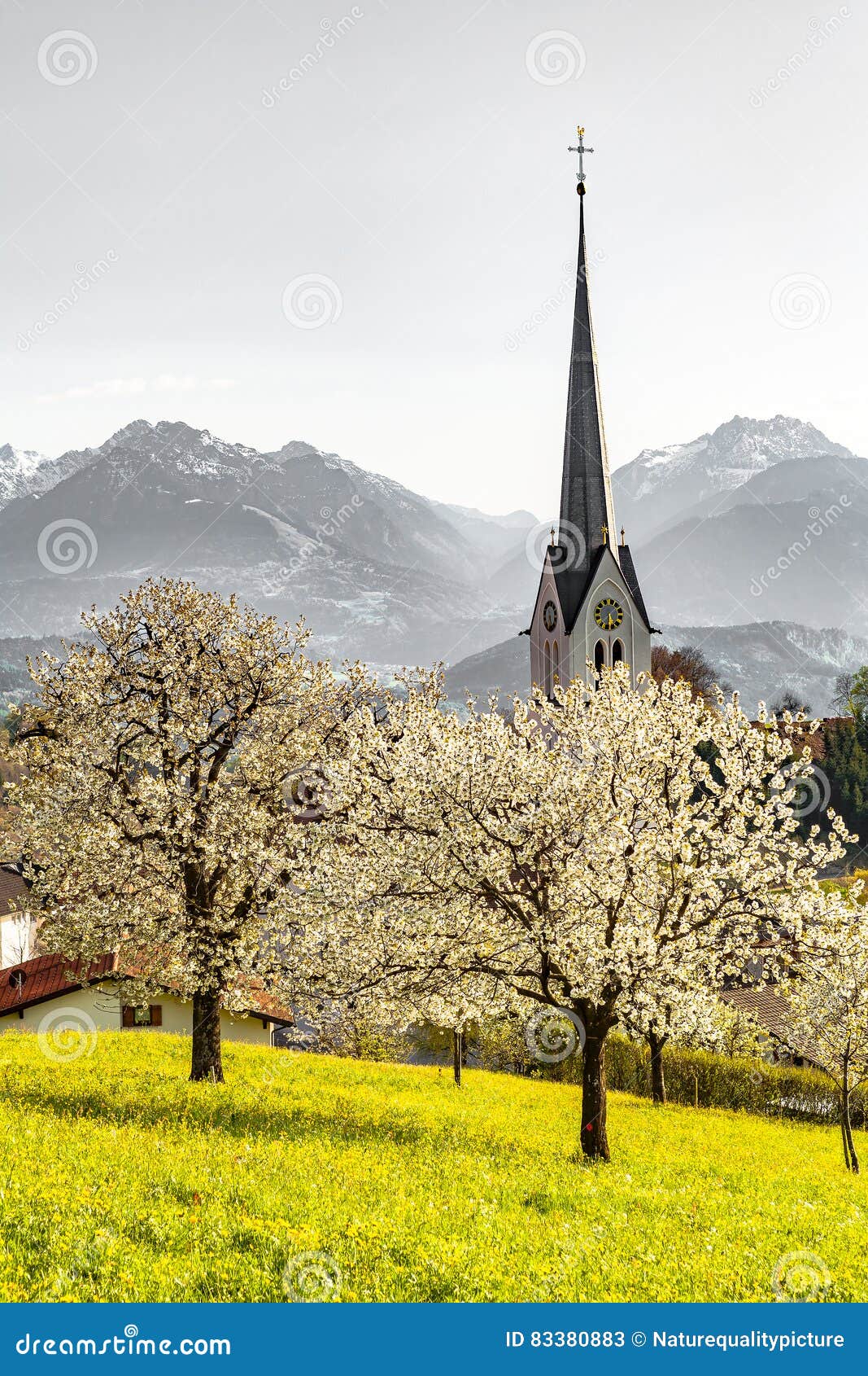 Church stock image. Image of cathedral, grass, outdoor - 83380883