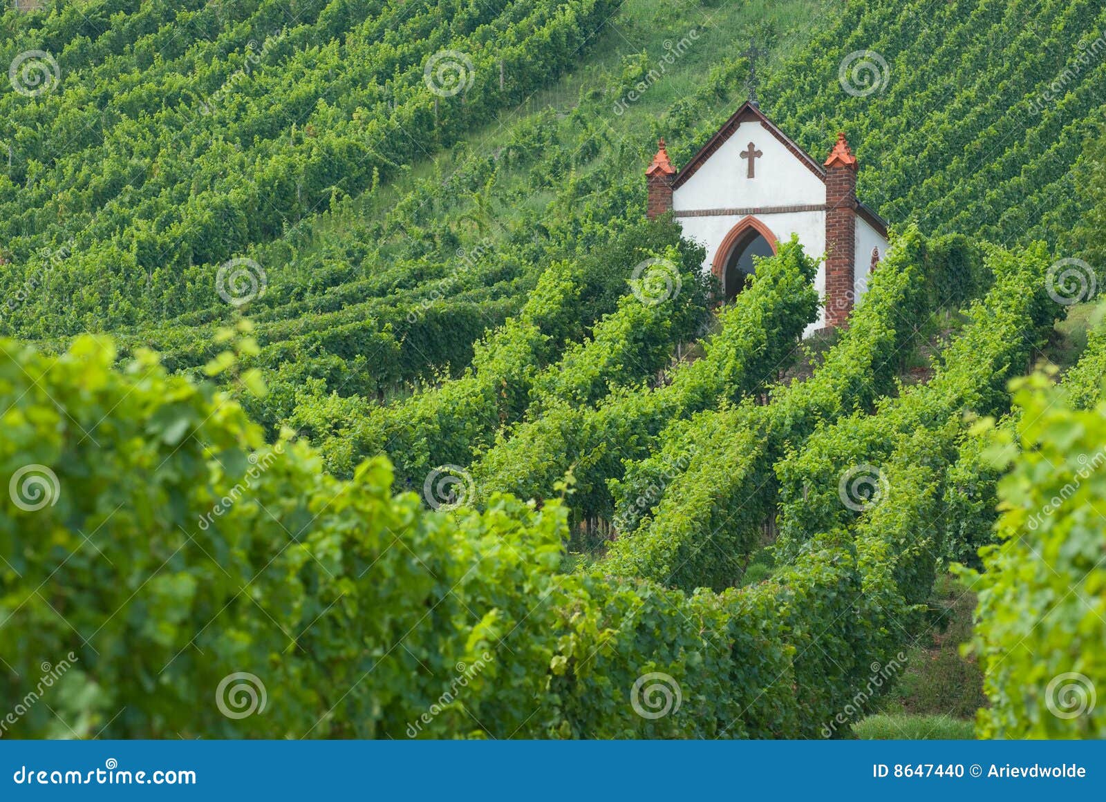 Church in vineyard stock photo. Image of australia, green - 8647440